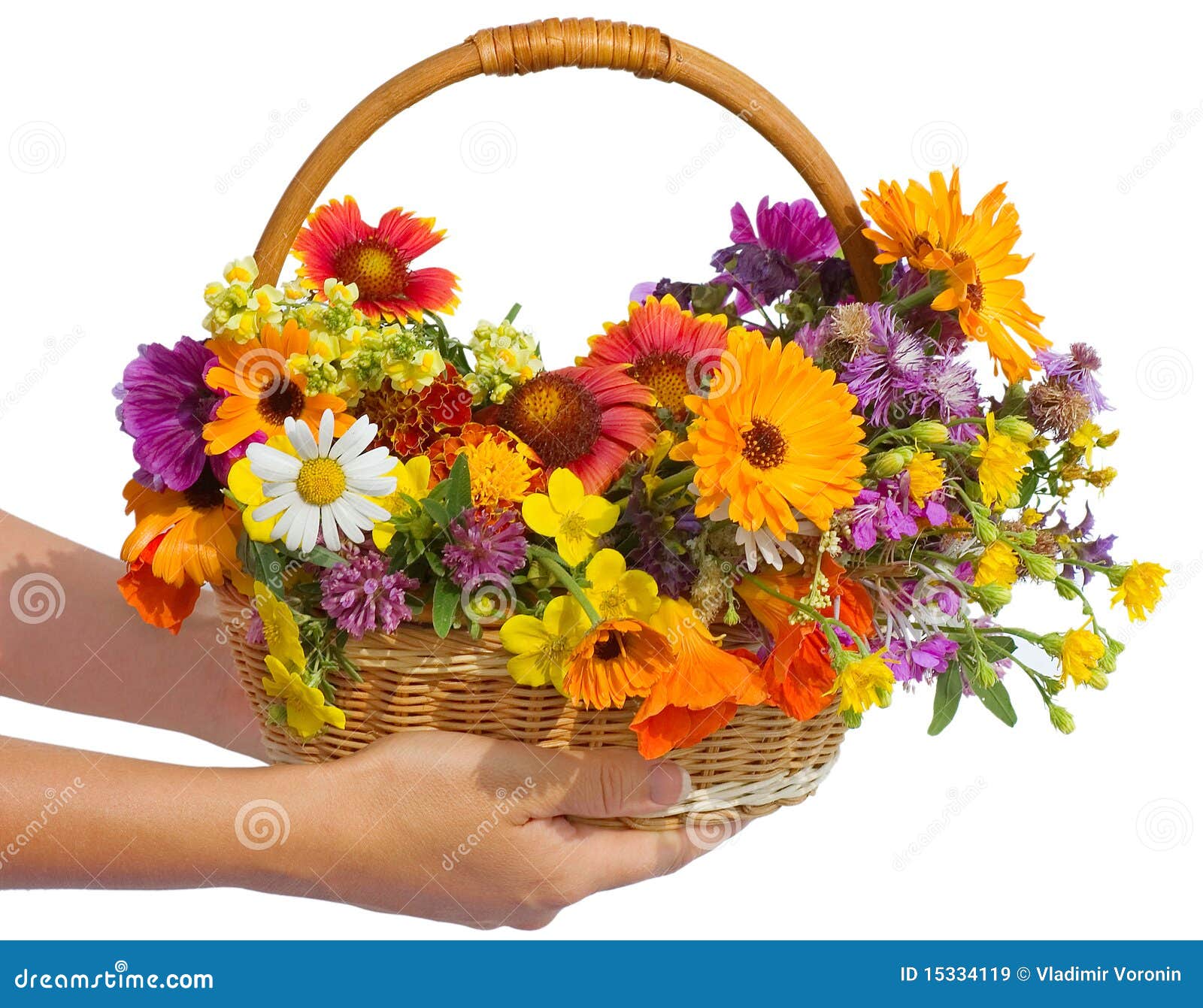 Beautiful Flowers in a Basket Stock Image - Image of floral, flower ...