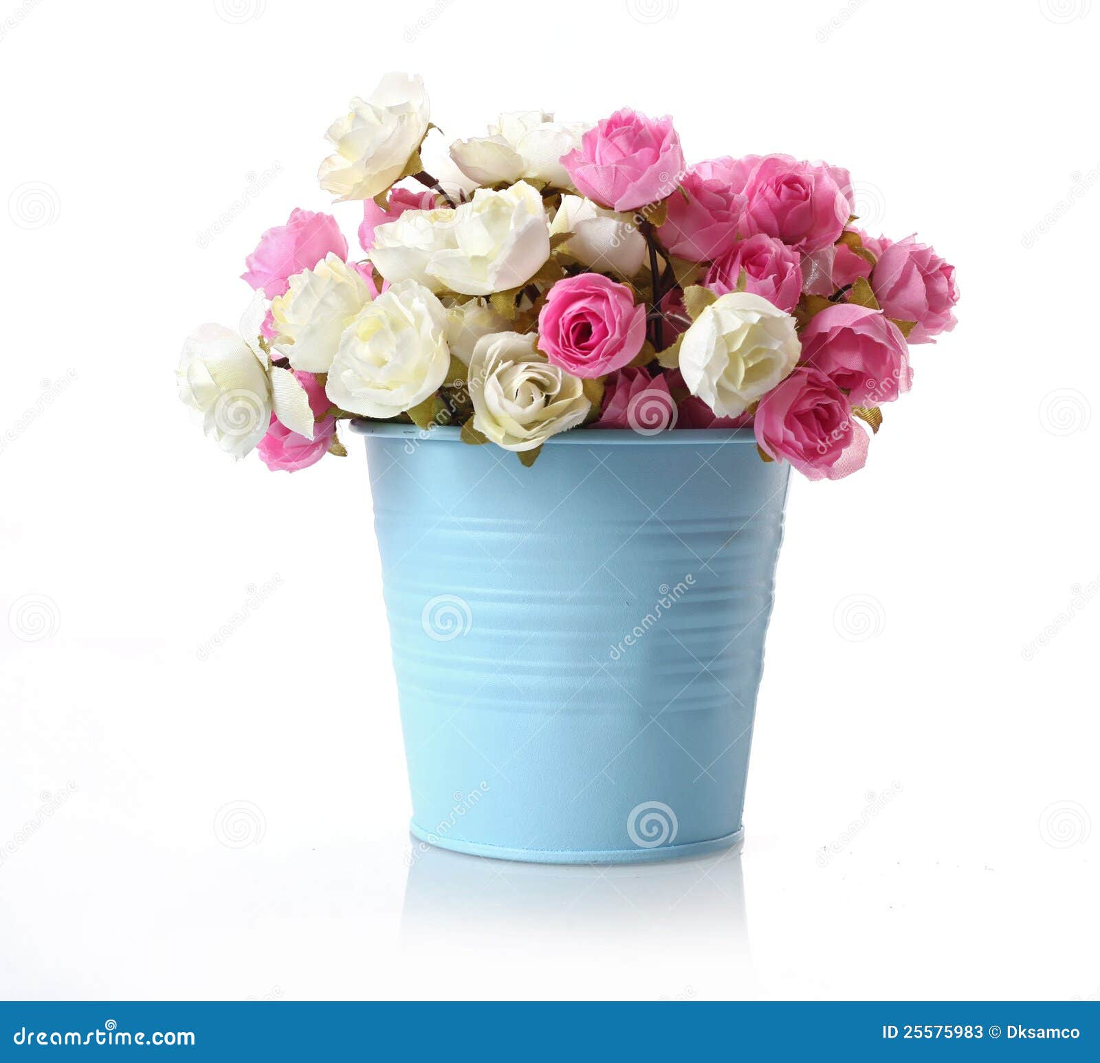 Beautiful Flowers and Colorful Floral Disc Stock Image - Image of ...