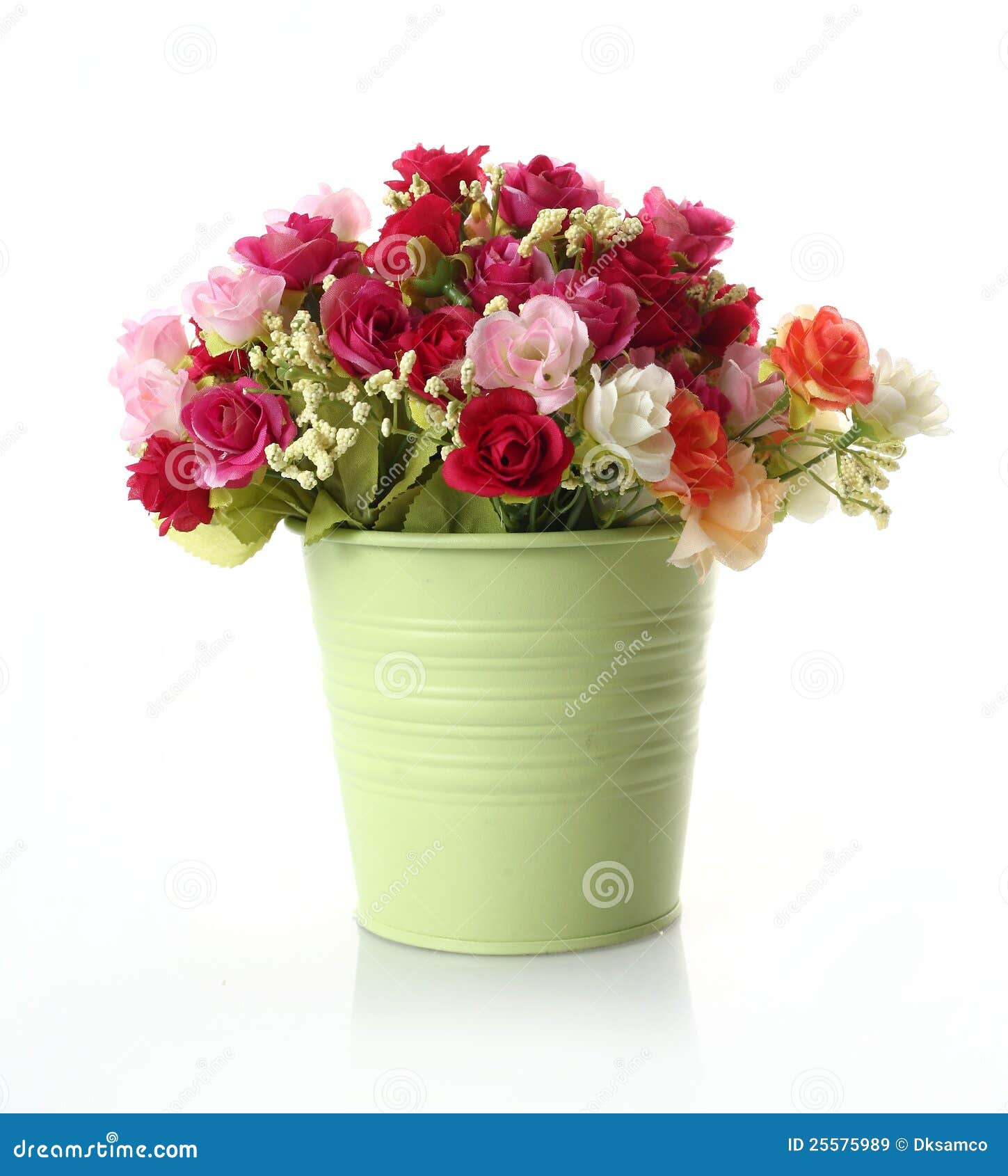 Beautiful Flowers and Colorful Floral Disc Stock Image - Image of ...