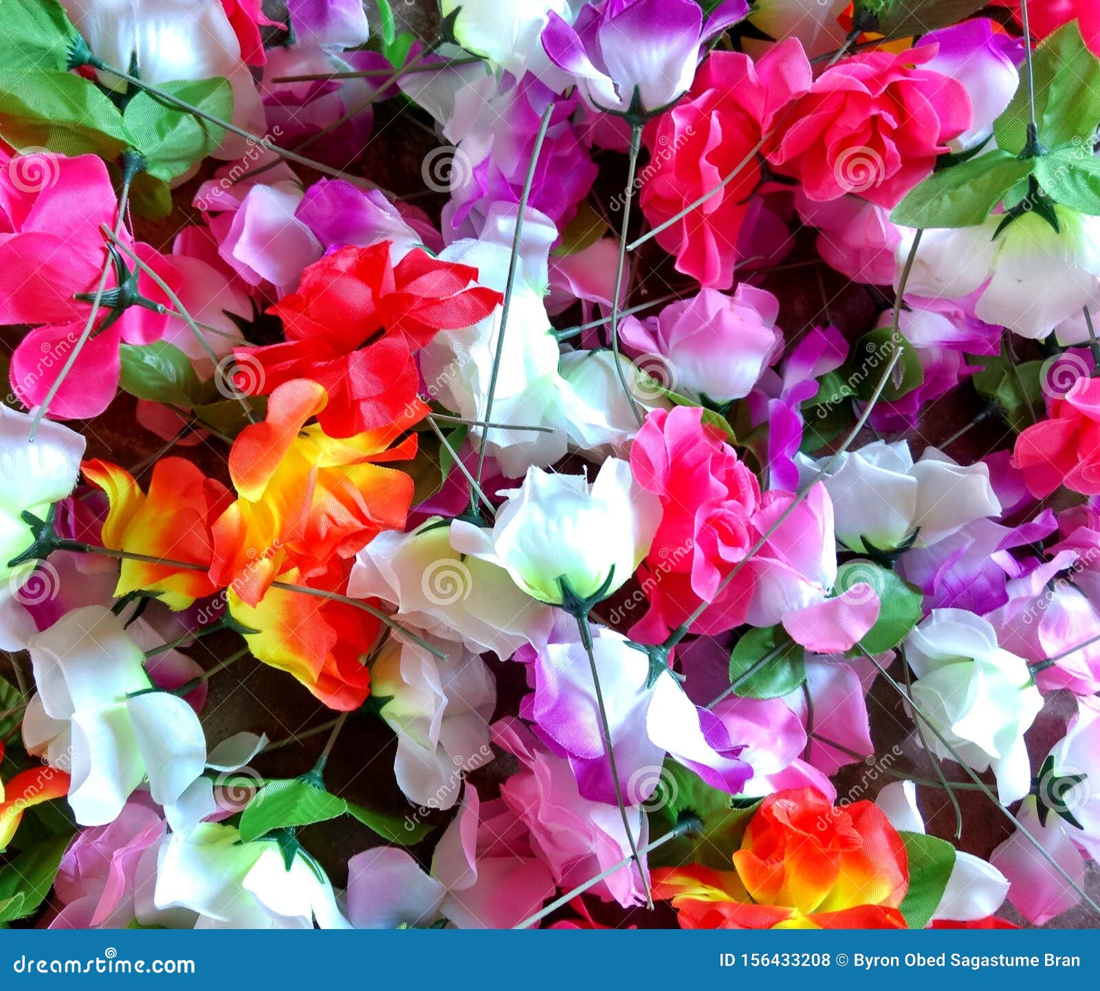 Beautiful Flowers of Different Colors Stock Photo - Image of concept ... Beautiful Flowers of Different Colors Stock Photo - Image of concept ...
