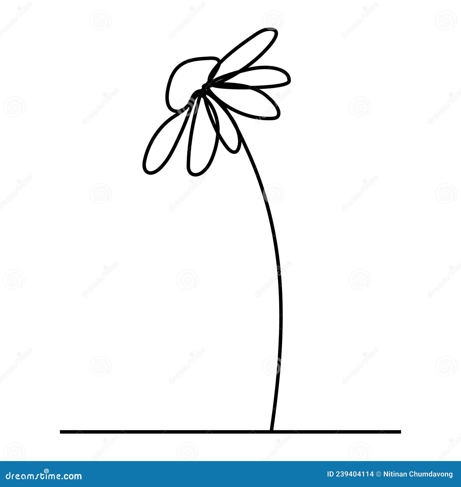 Beautiful Flowers Echinacea. Continuous Line Drawing Stock Vector ...