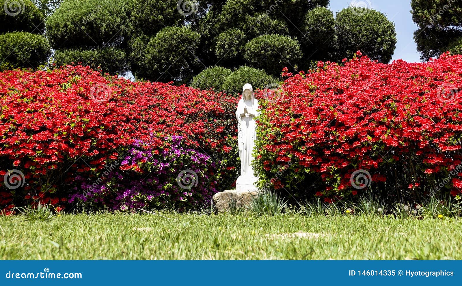Beautiful Flowers in Full Bloom and Virgin Mary Statue Stock Image ...
