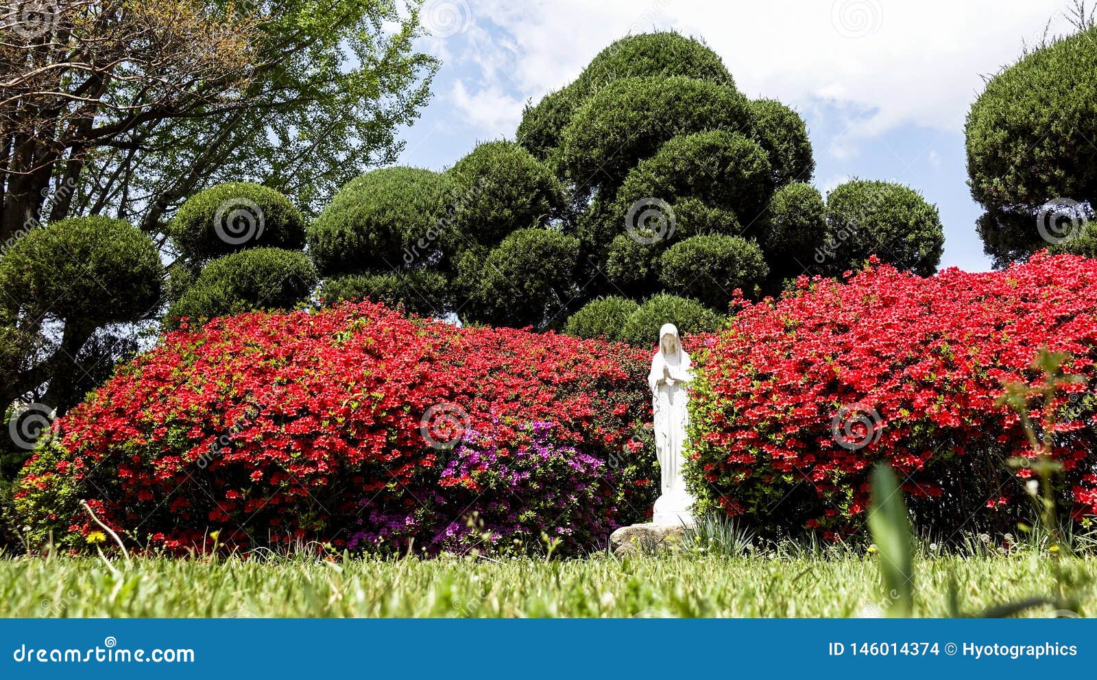 Beautiful Flowers in Full Bloom and Virgin Mary Statue Stock Photo ...