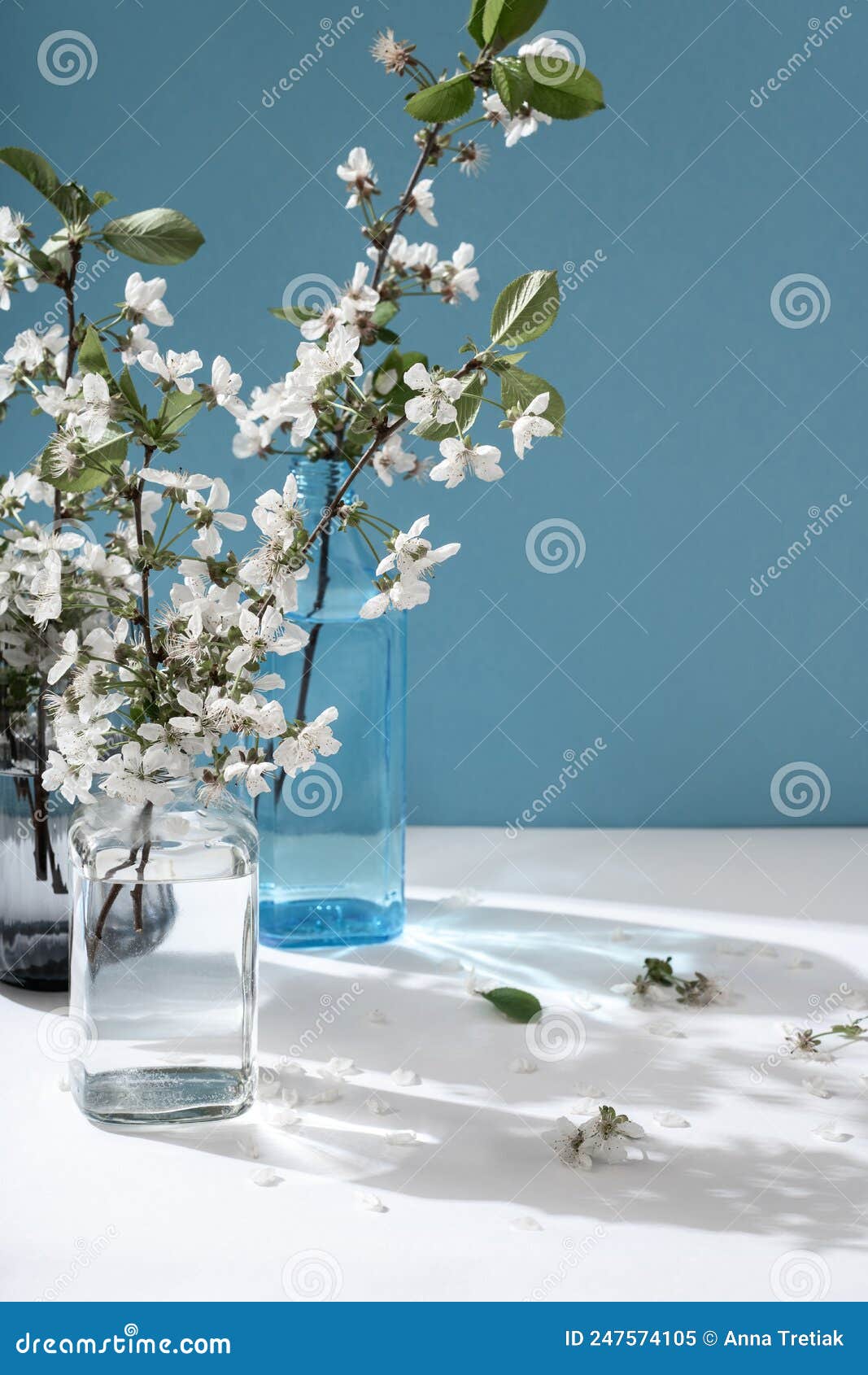 Beautiful Flowers in Glass Vases with Spring Flowers on Sunlit ...