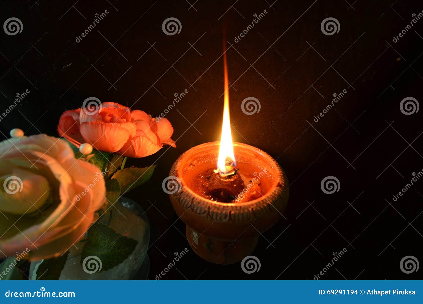 Beautiful Flowers in the Light of Lamp Stock Photo - Image of closeup ...