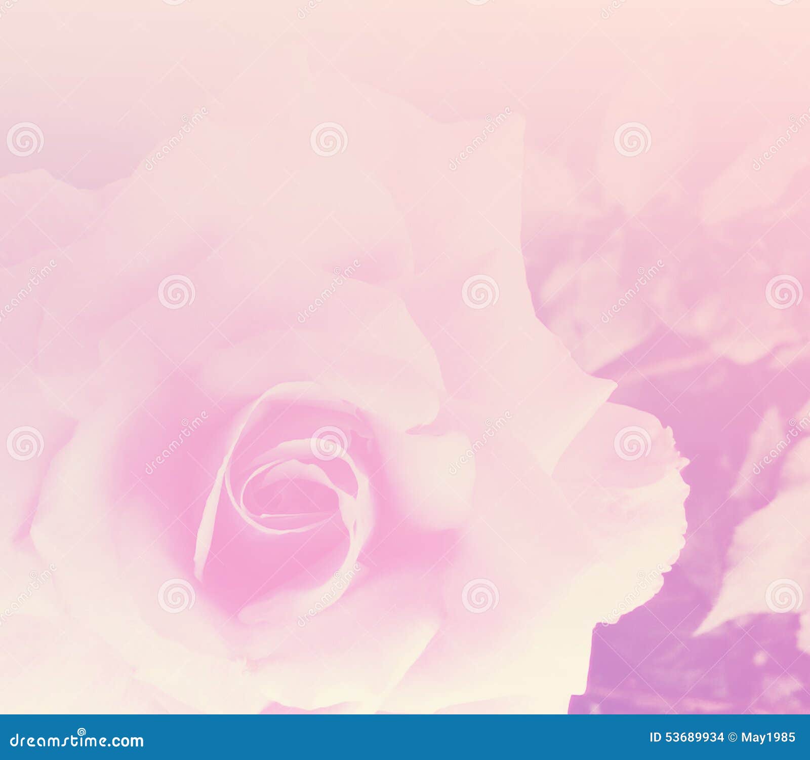 Beautiful Flowers Made with Color Filters Background Stock Photo ...