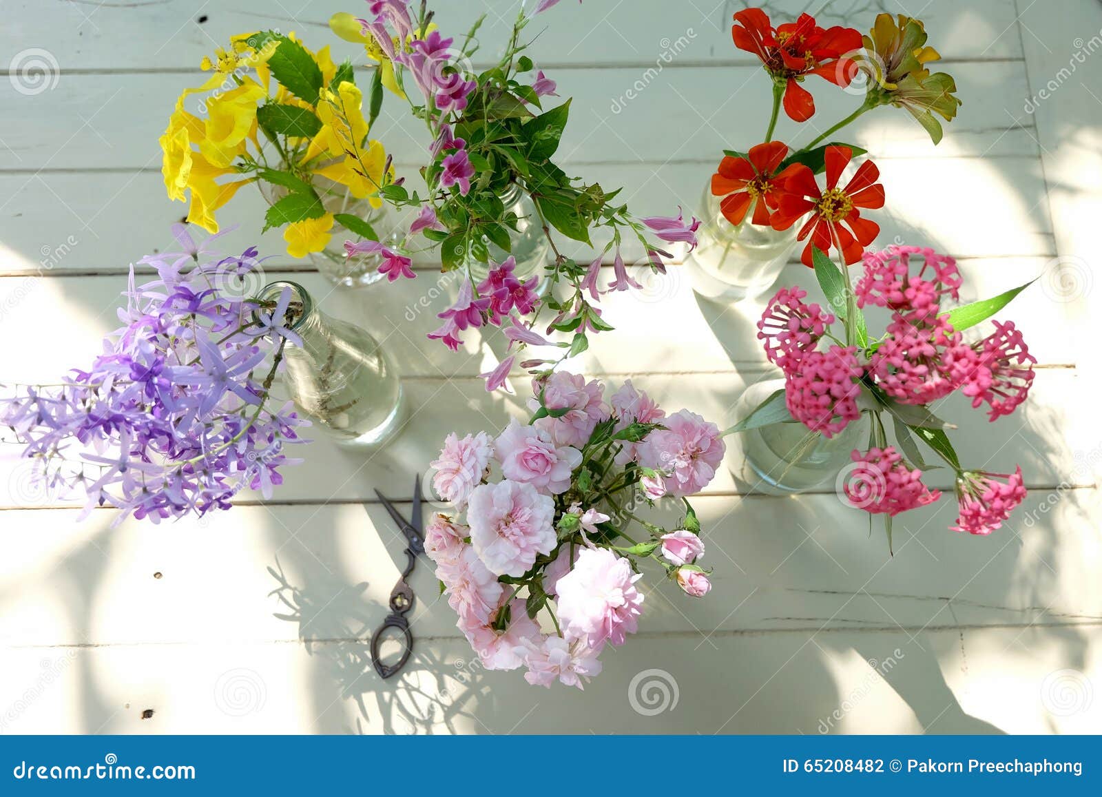 Beautiful Flowers of Many Colors Stock Photo - Image of leaf, love ...