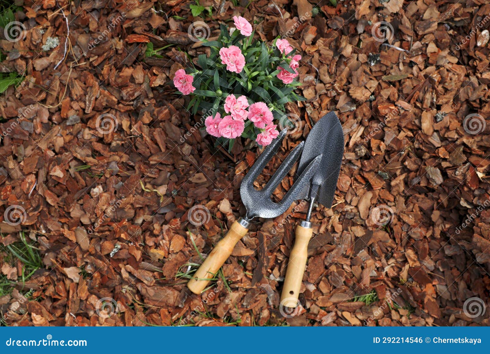 Beautiful Flowers Mulched with Bark Chips, Fork and Trowel, Top View ...