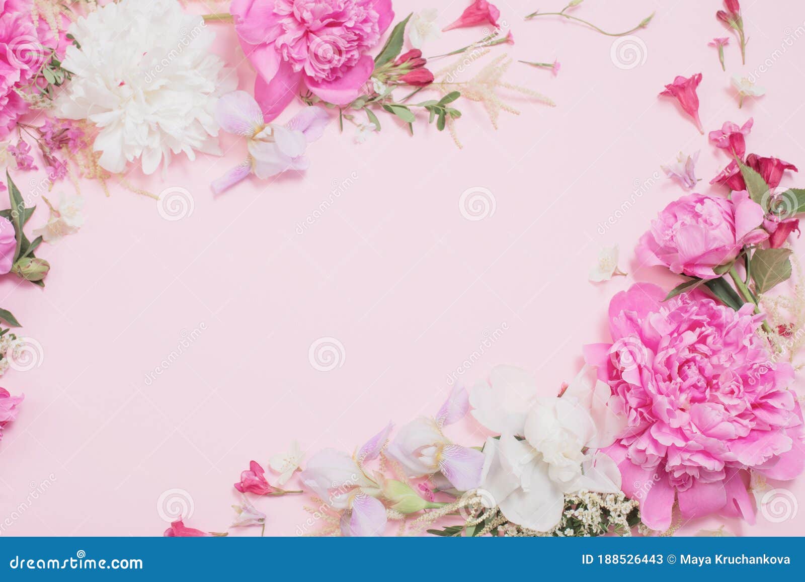 Flowers on Pink Paper Background Stock Image - Image of beautiful ...