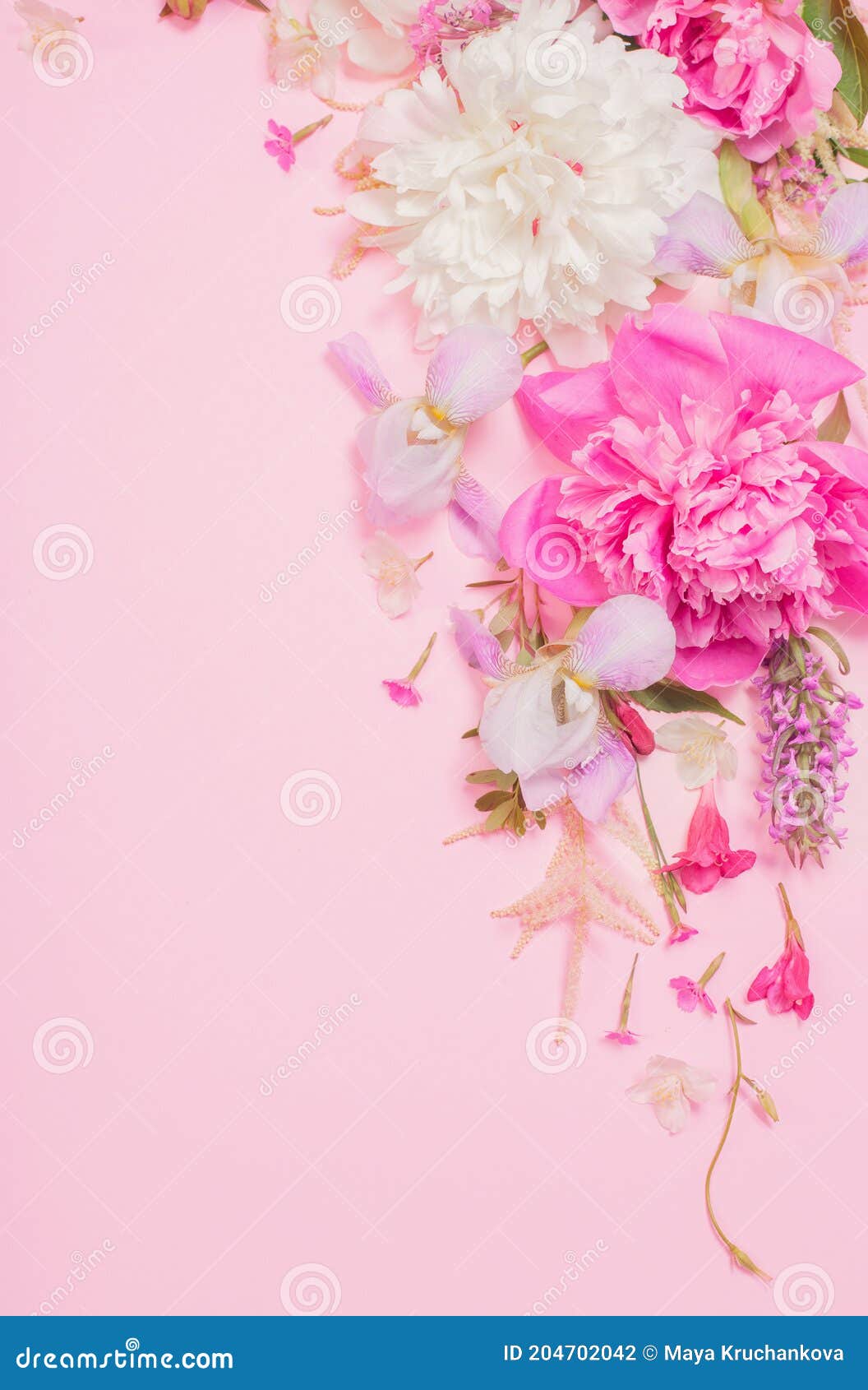 Flowers on Pink Paper Background Stock Photo - Image of frame, copy ...