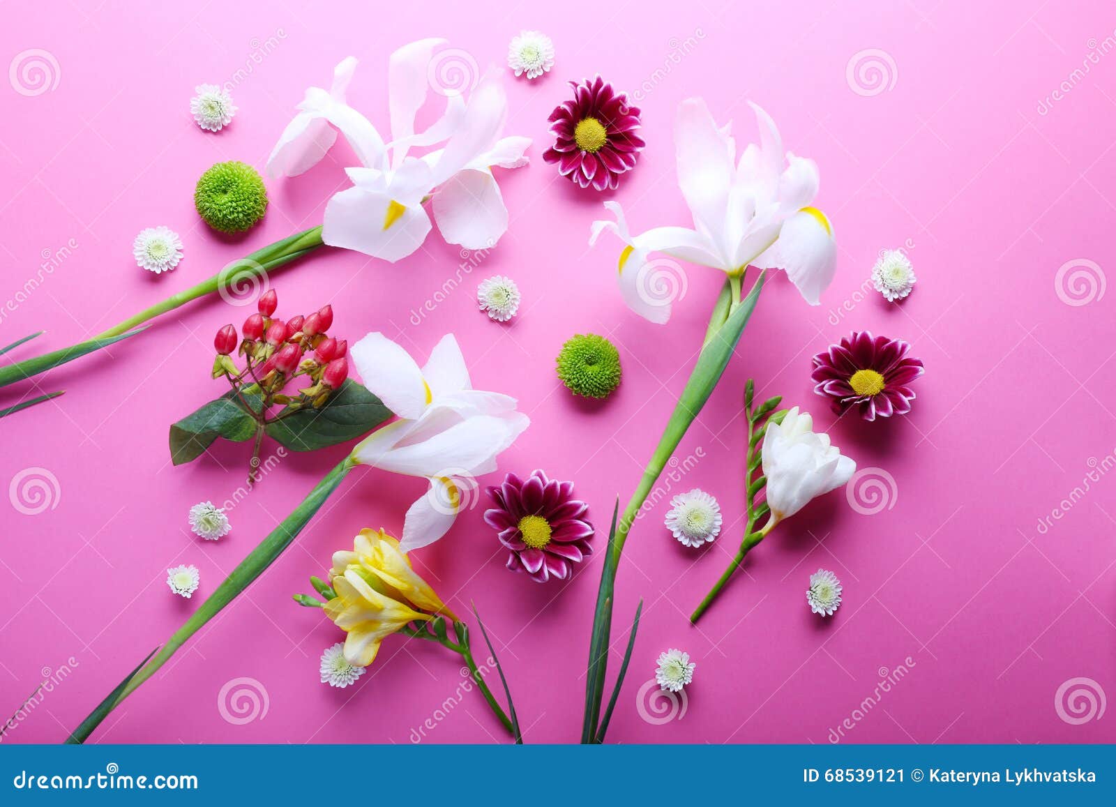Beautiful Flowers Scattered on Pink Background, Overhead View Stock ...