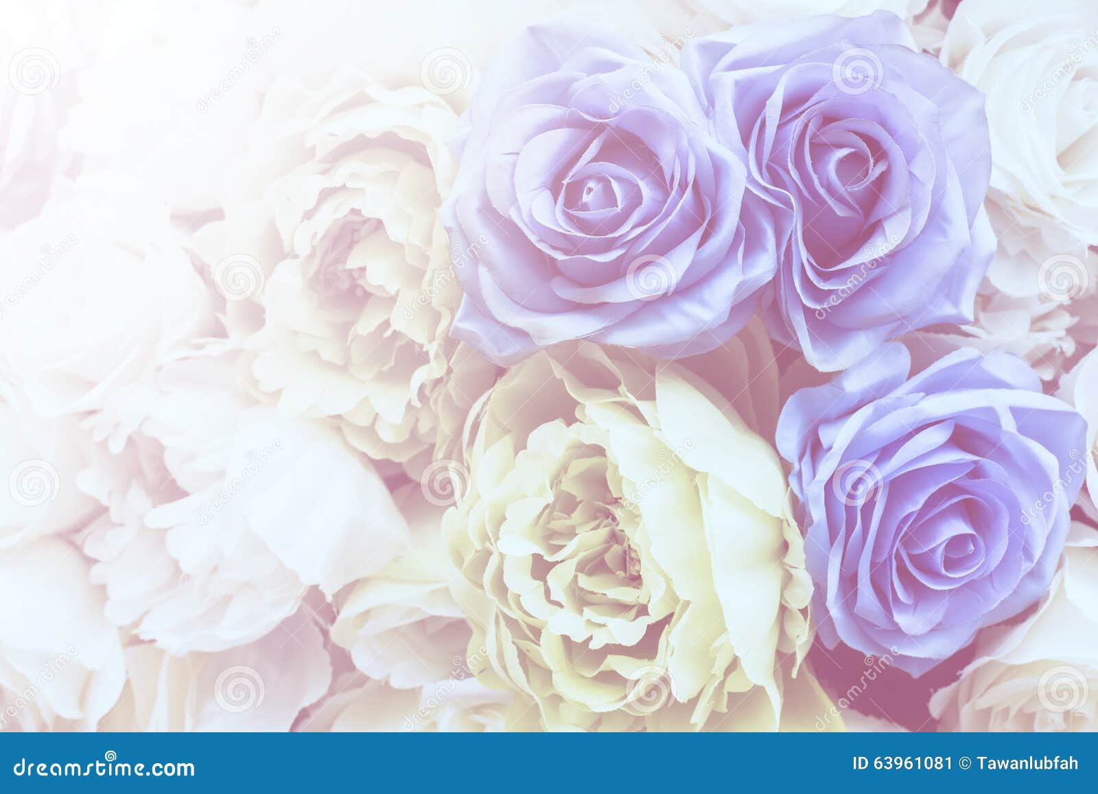 Beautiful Flowers Soft Focus Color Filtered Background Stock ...