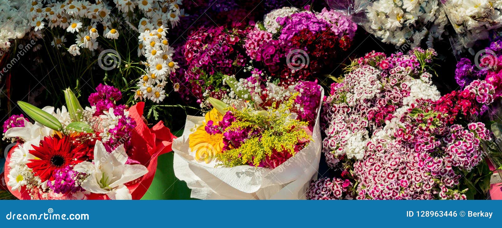 Beautiful Flowers of Various Types Stock Photo - Image of season, pink ...