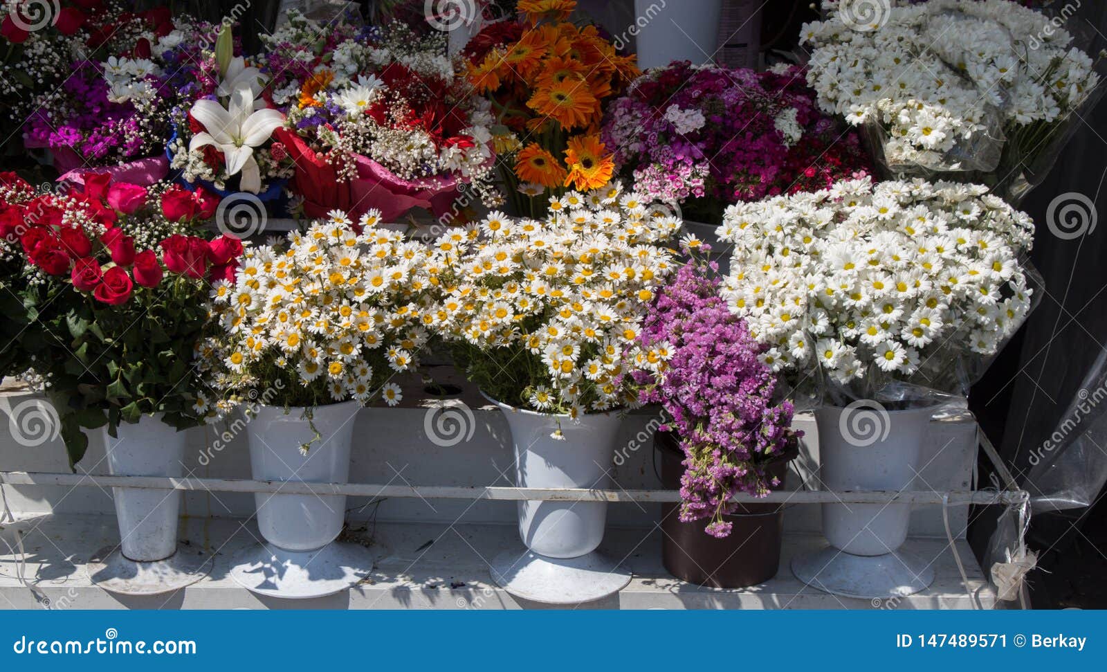 Beautiful Flowers of Various Types Stock Image - Image of environment ...