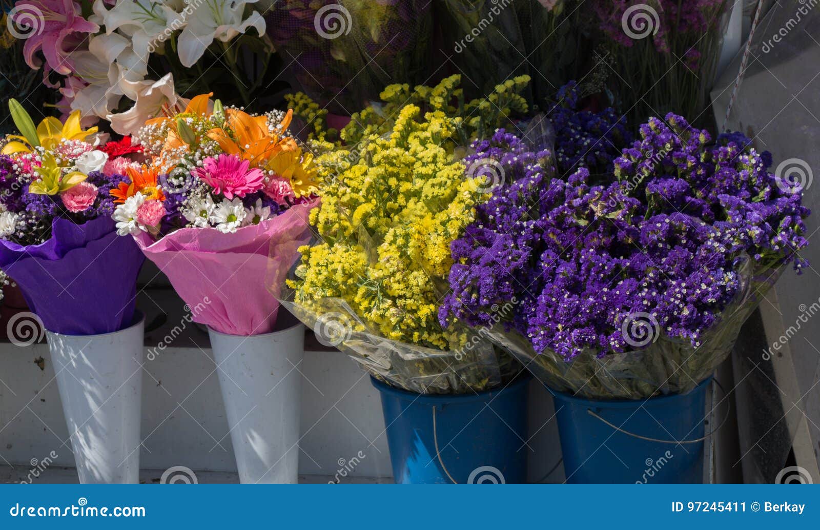 Beautiful Flowers of Various Types Stock Image - Image of pink ...