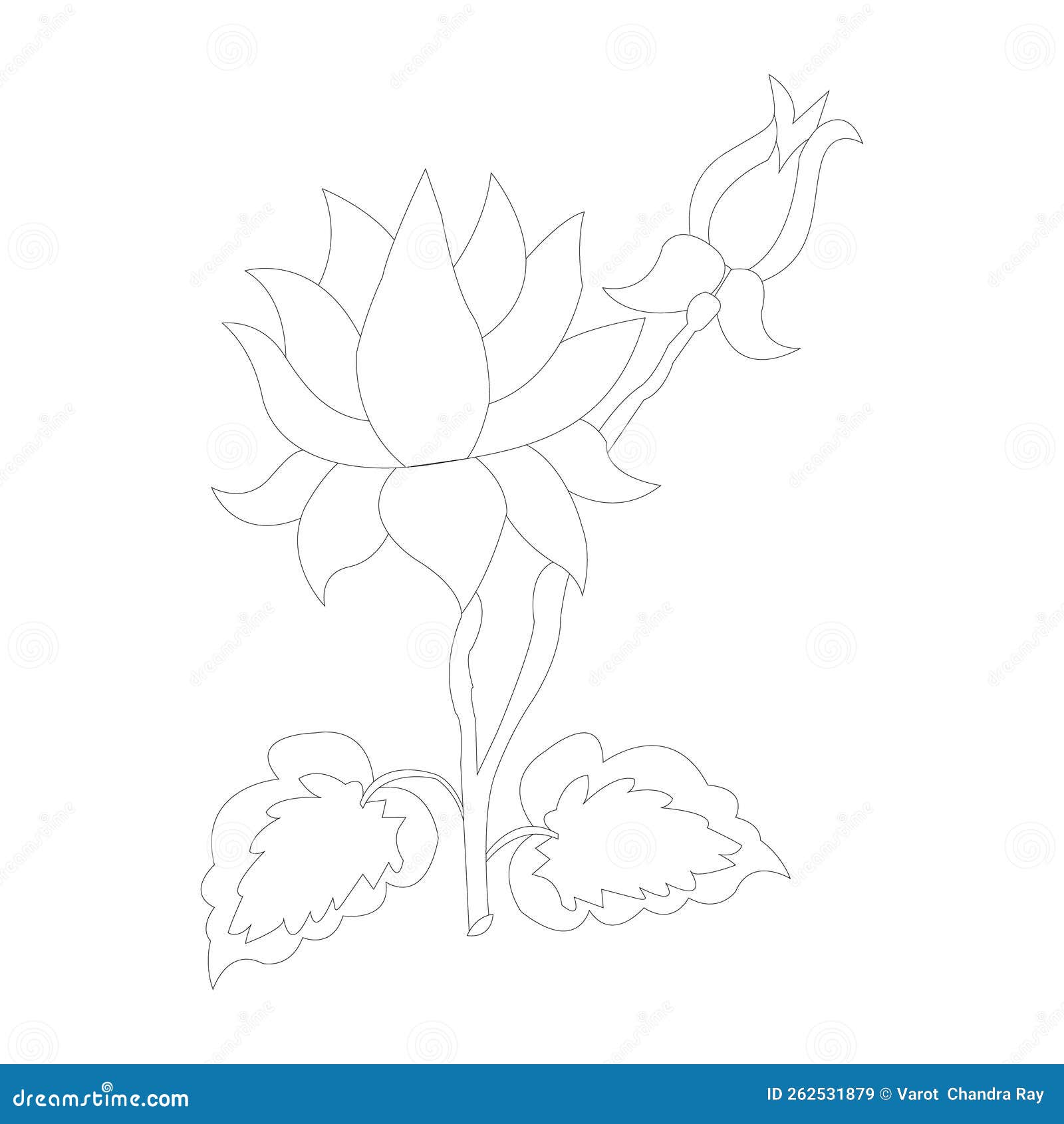 Beautiful Flowers Vector Line Art Designs. Stock Vector - Illustration ...