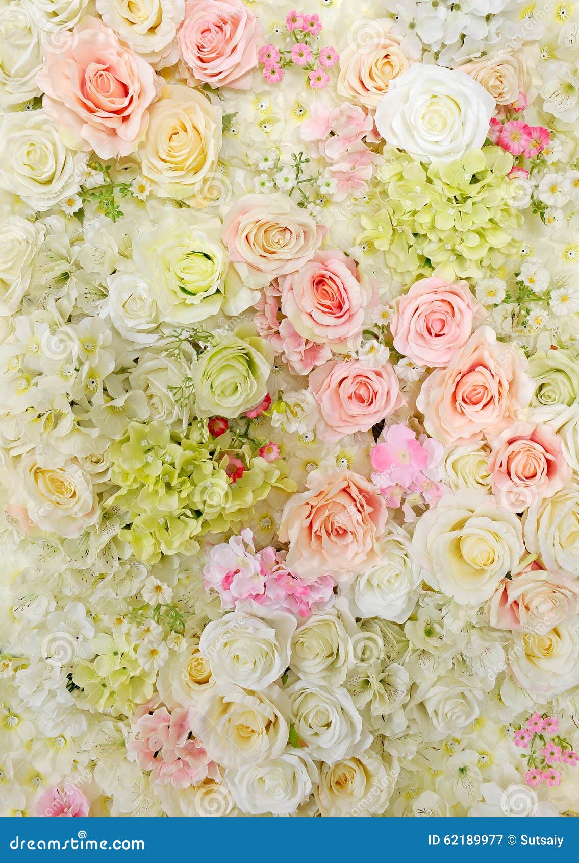 Beautiful flowers wall stock image. Image of card, bride - 62189977