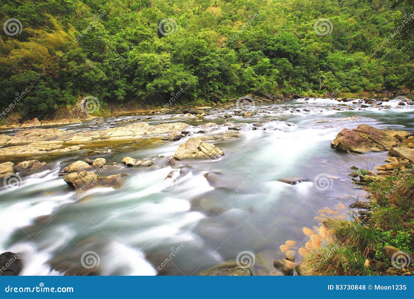 Beautiful Flowing River Scenery Stock Photo - Image of grass, forest ...
