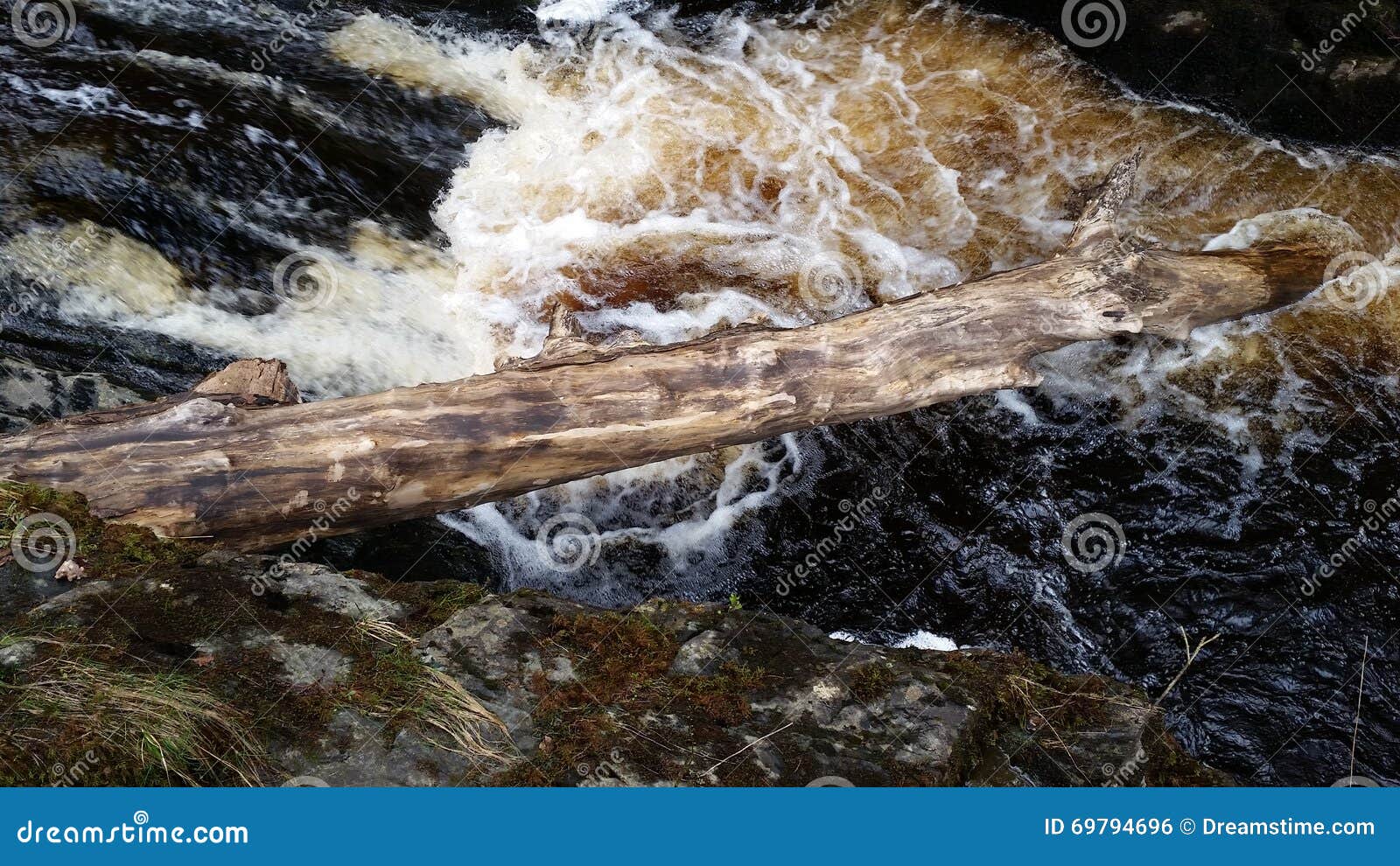 Beautiful Flowing Waterfall with Fallen Tree Stock Photo - Image of ...