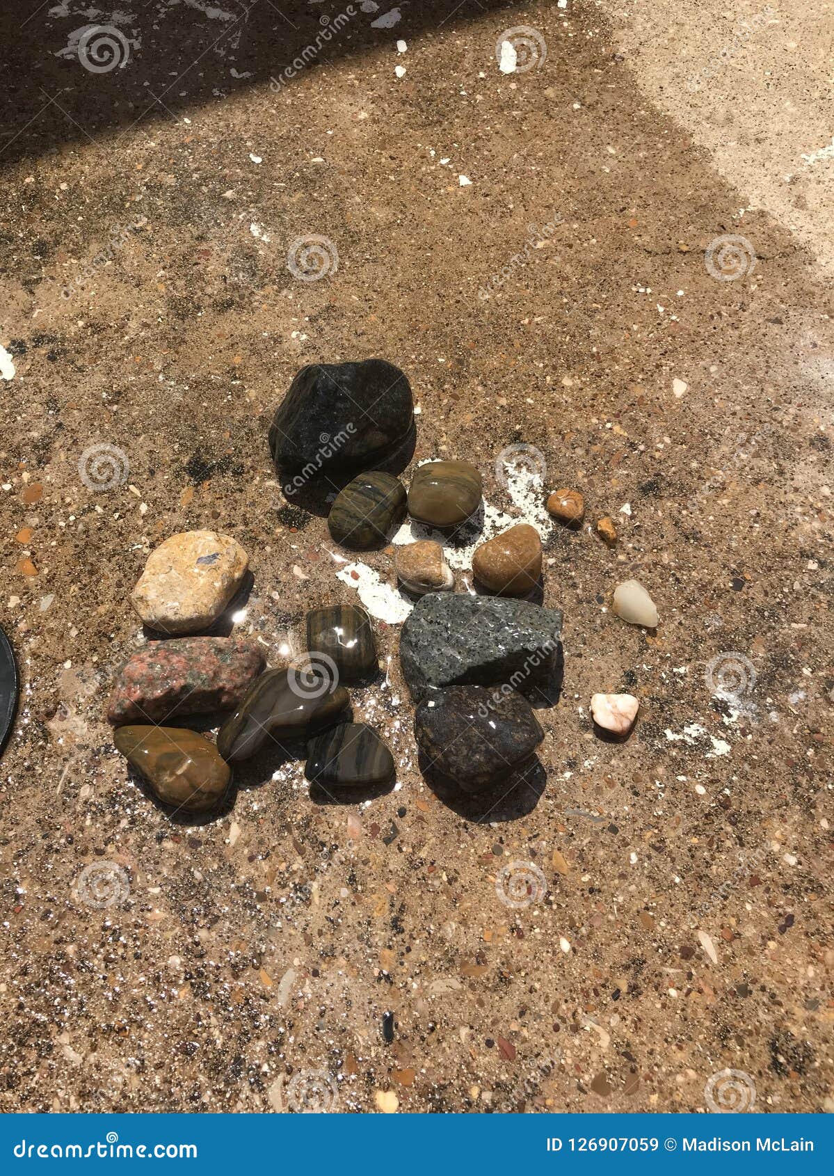 Beautiful Focks stock image. Image of layered, beautiful - 126907059