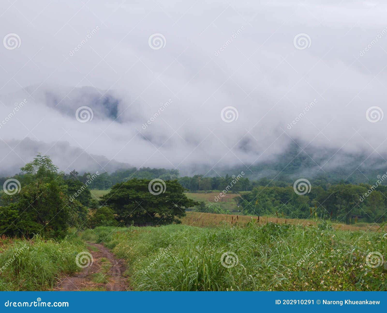 Beautiful Fog Landscape in the Mountains Stock Image - Image of ...