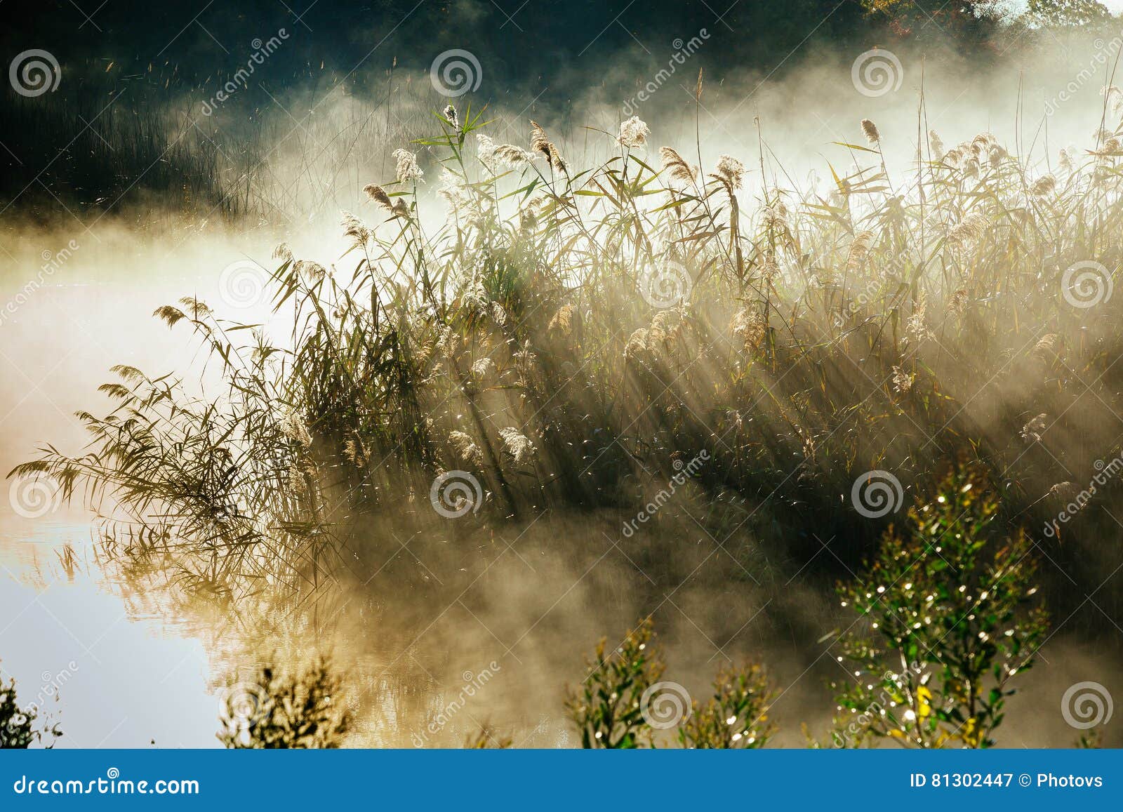River Mist And Sunrise, Aerial Royalty-Free Stock Image | CartoonDealer ...