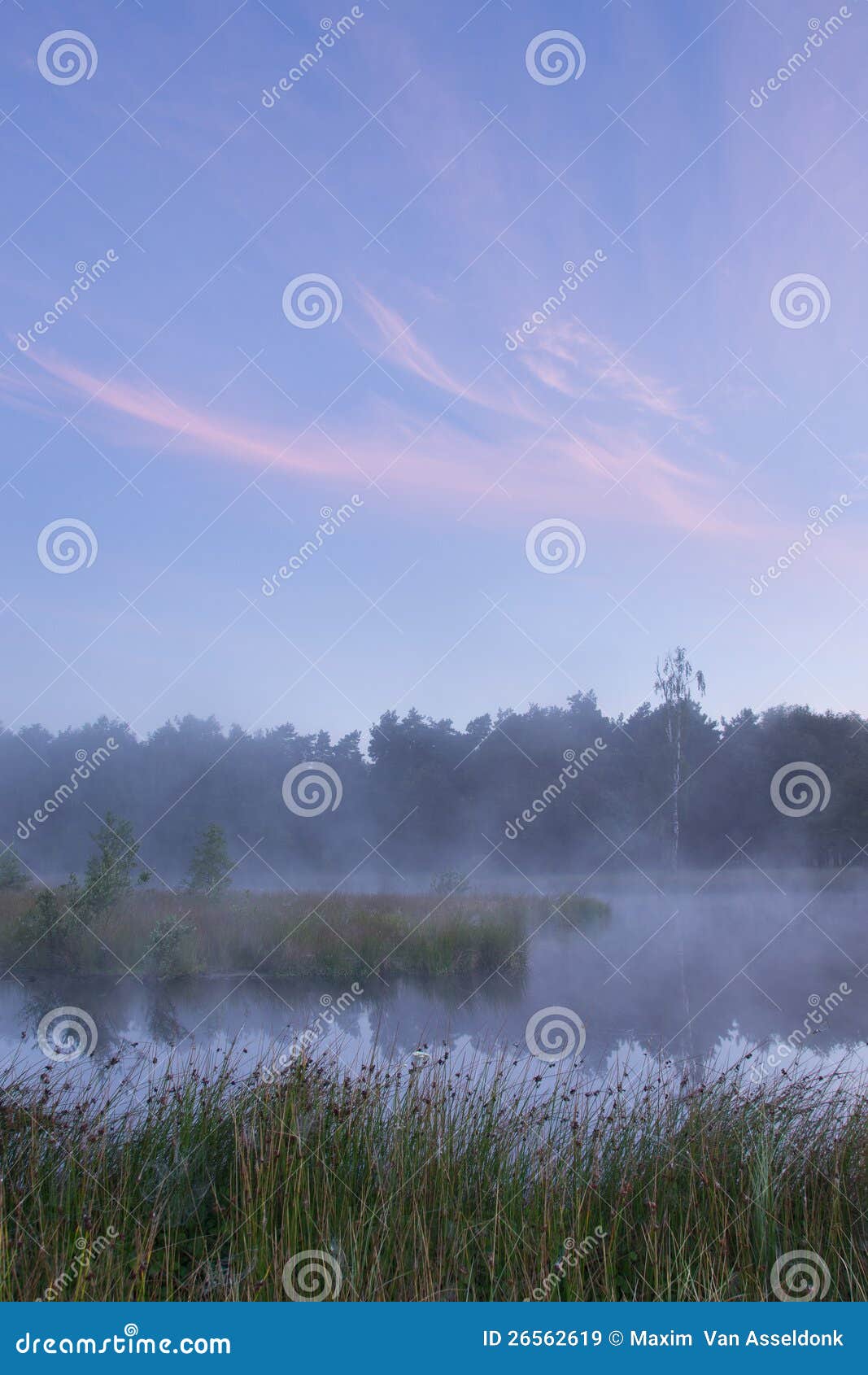 A beautiful foggy morning stock image. Image of fall - 26562619
