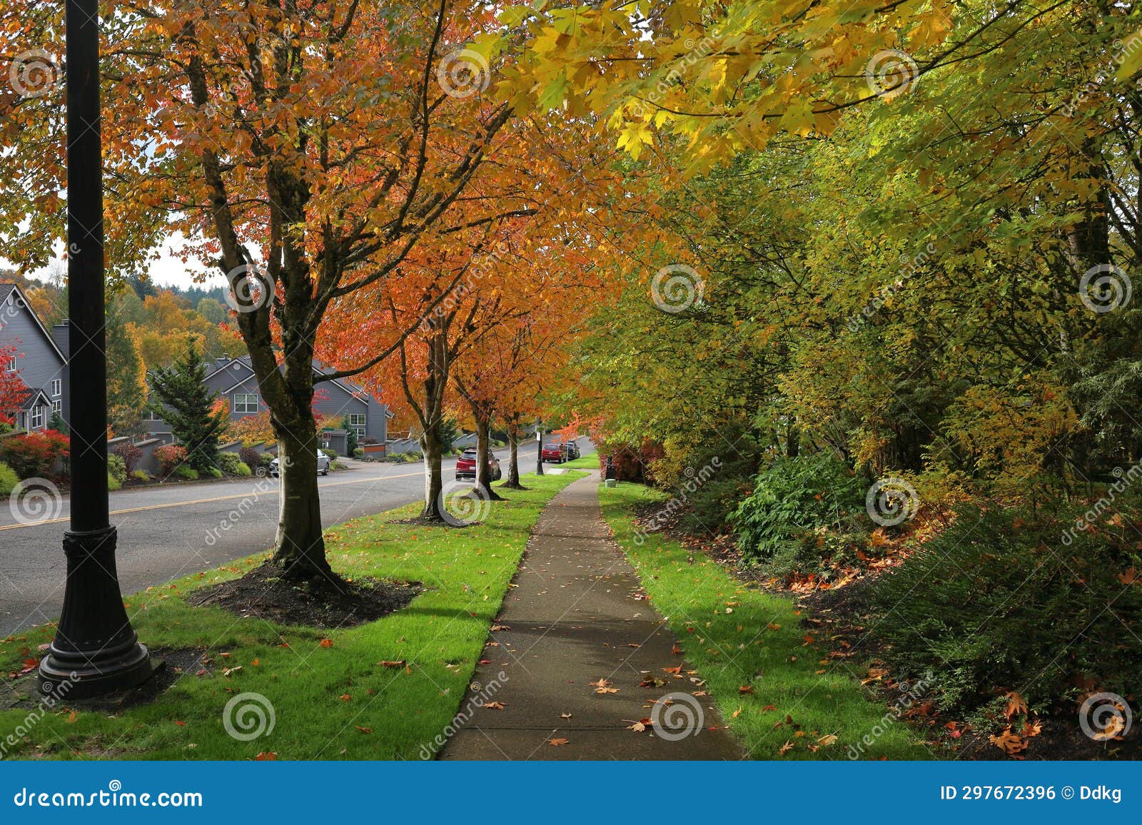 Fall in the suburbs stock photo. Image of colors, nature - 297672396