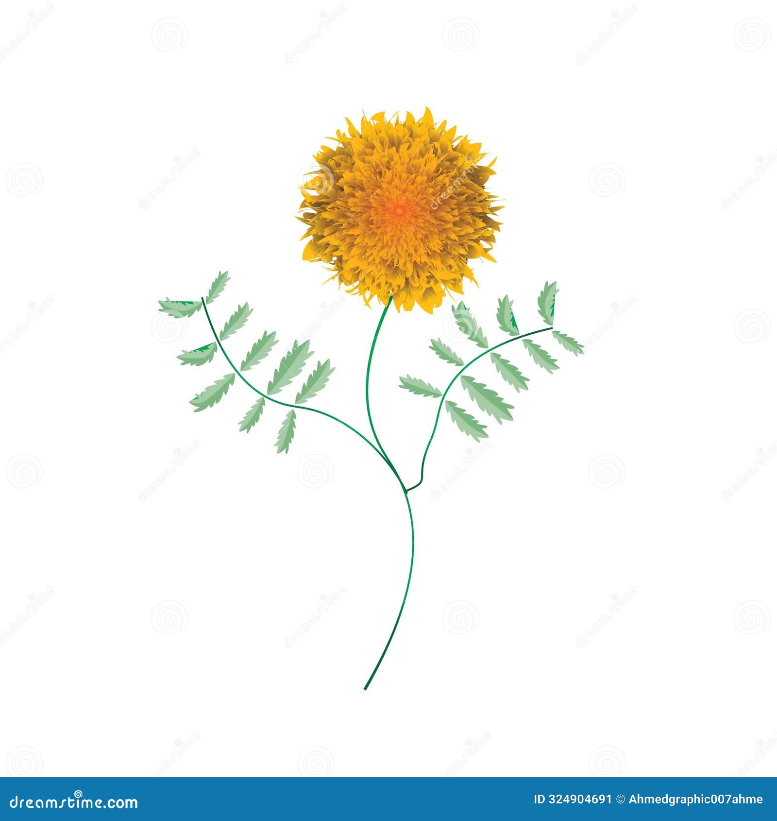 Beautiful Follower Design Vector Illustration Stock Illustration ...
