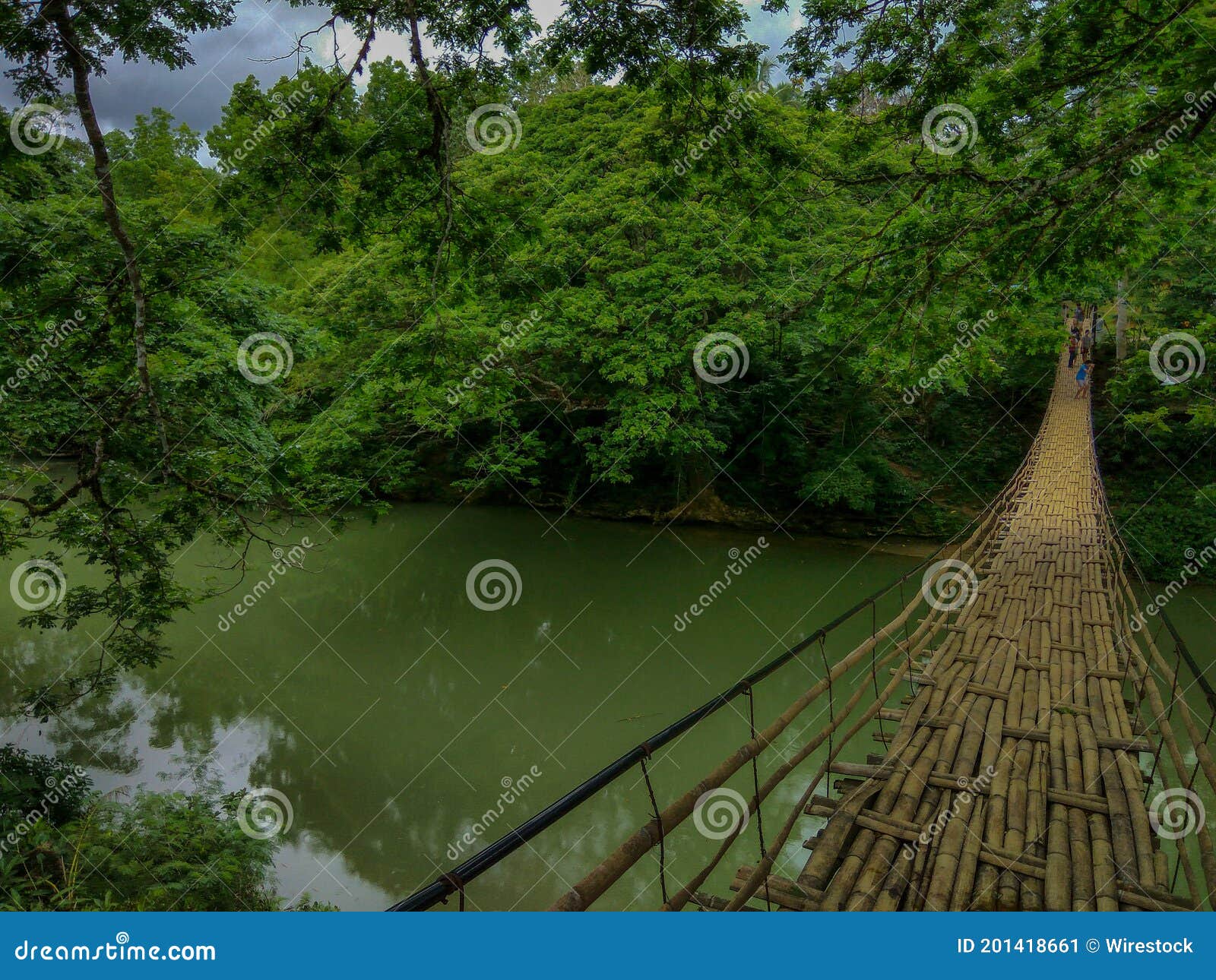 Beautiful Footbridge Made from Bamboo Over a River Stock Image - Image ...