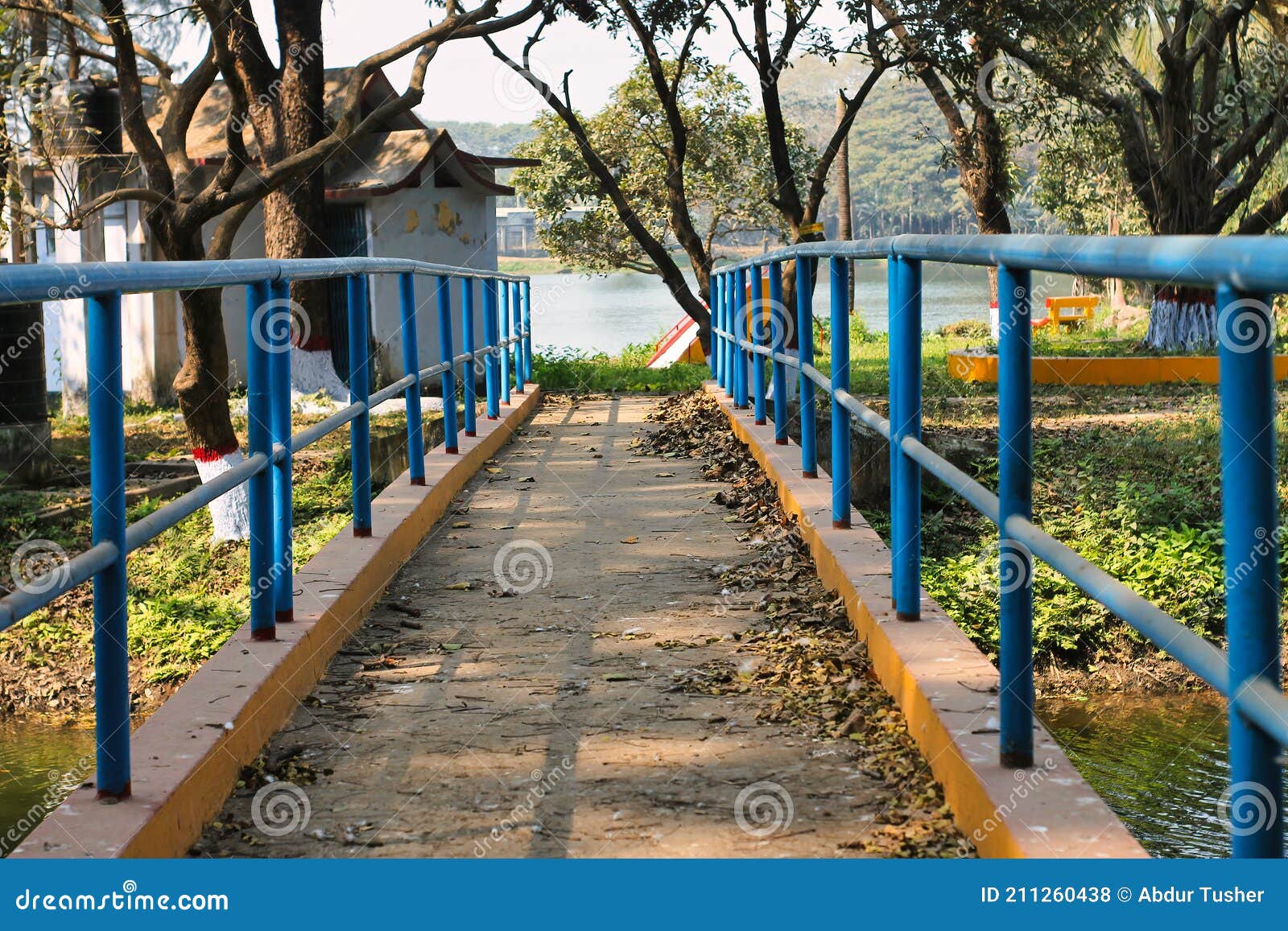 Beautiful Footbridge Over the Lake Stock Photo - Image of light, park ...