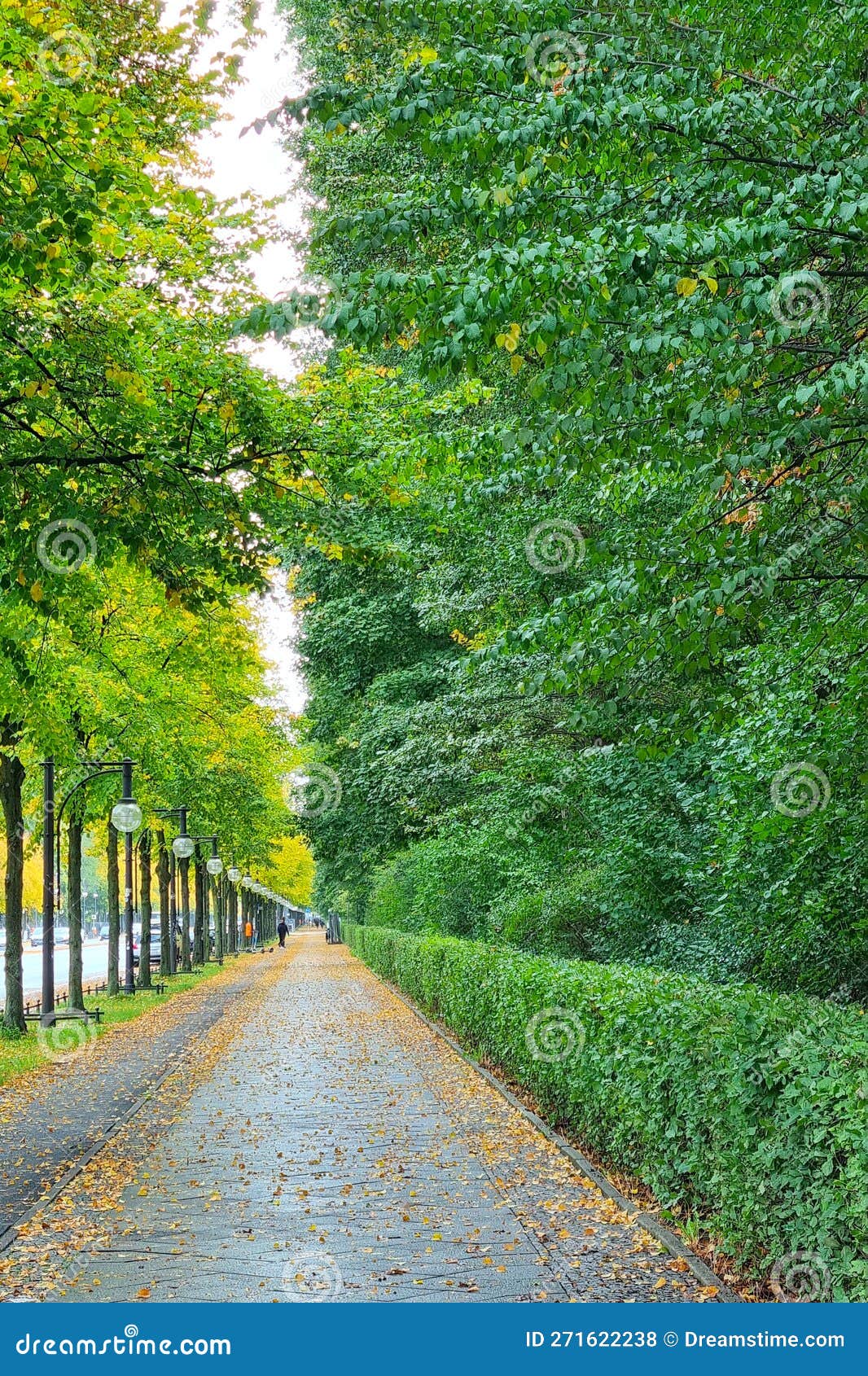 Beautiful Footpath Along the Green Trees and Roadway. Stock Photo ...