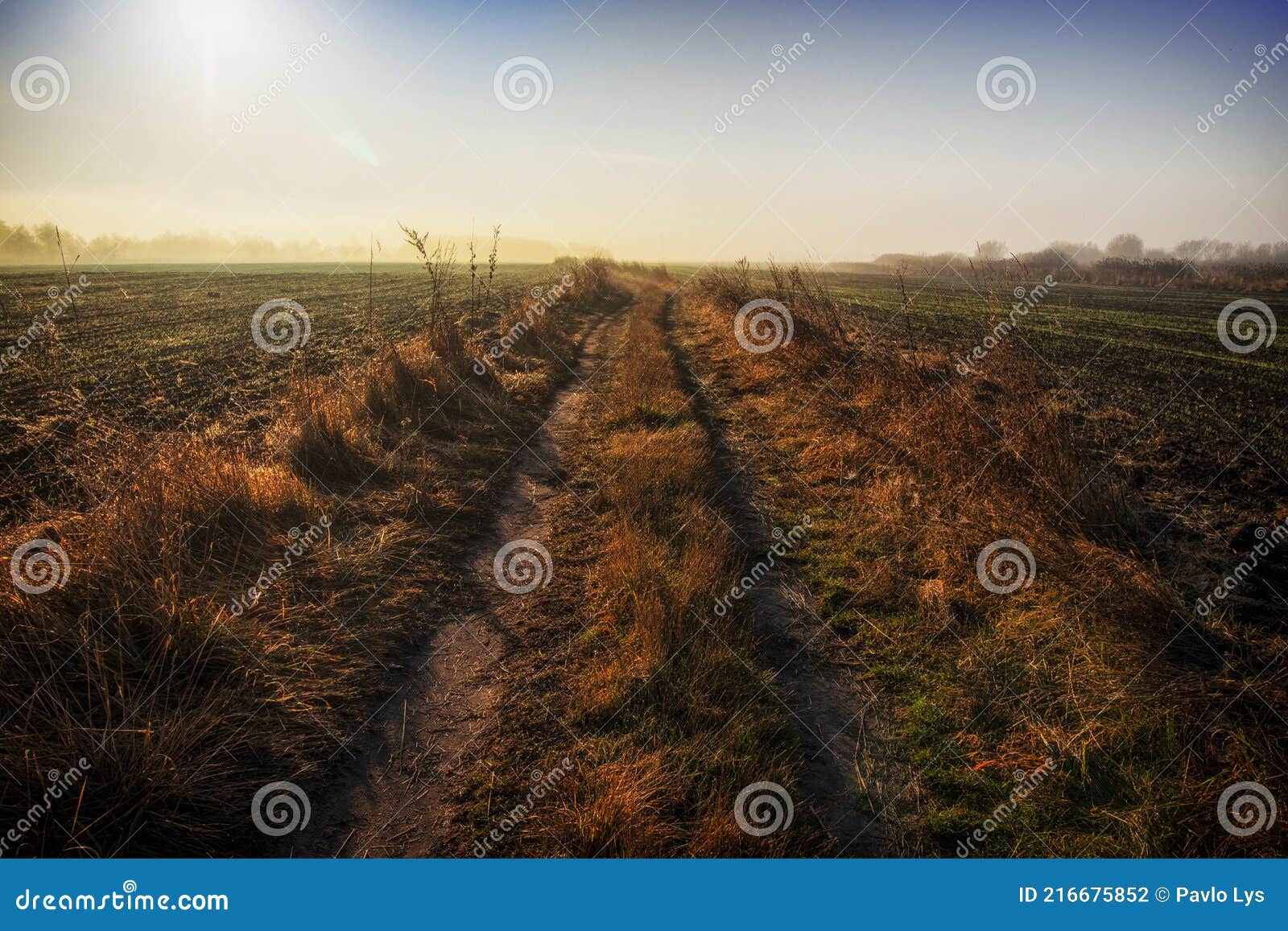 Beautiful Footpath and Path during Sunset Stock Photo - Image of spring ...