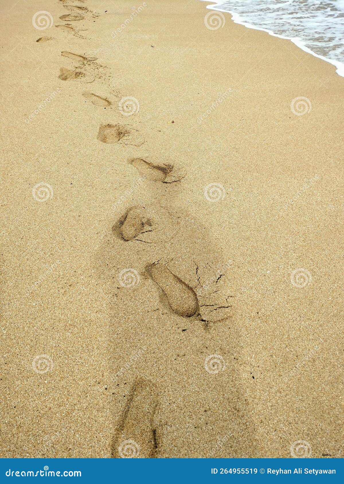 Beautiful Footsteps on the Sand of the Beach Stock Image - Image of ...