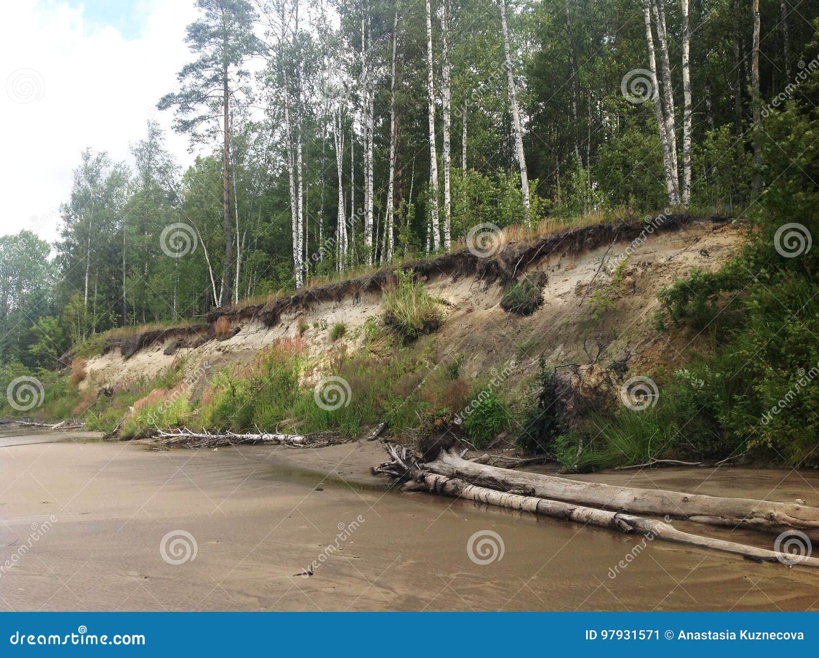 Beautiful forest cliff stock image. Image of trees, cliff - 97931571