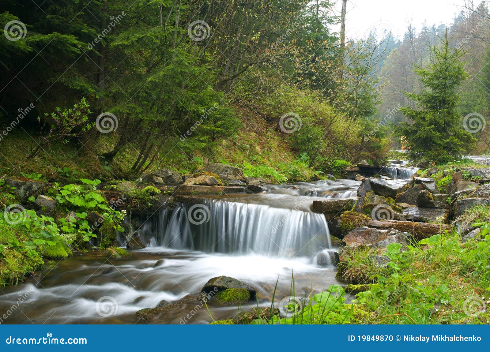 Beautiful forest landscape stock photo. Image of river - 19849870