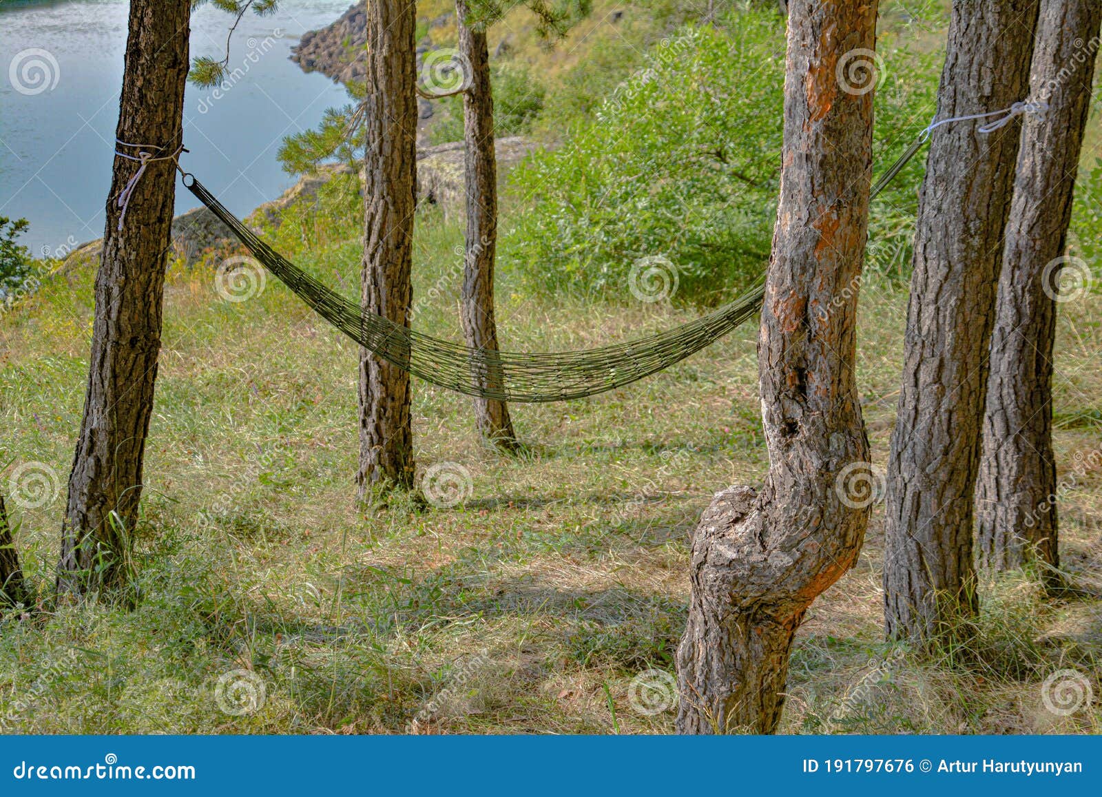 Passive rest in the forest stock photo. Image of landscape - 191797676