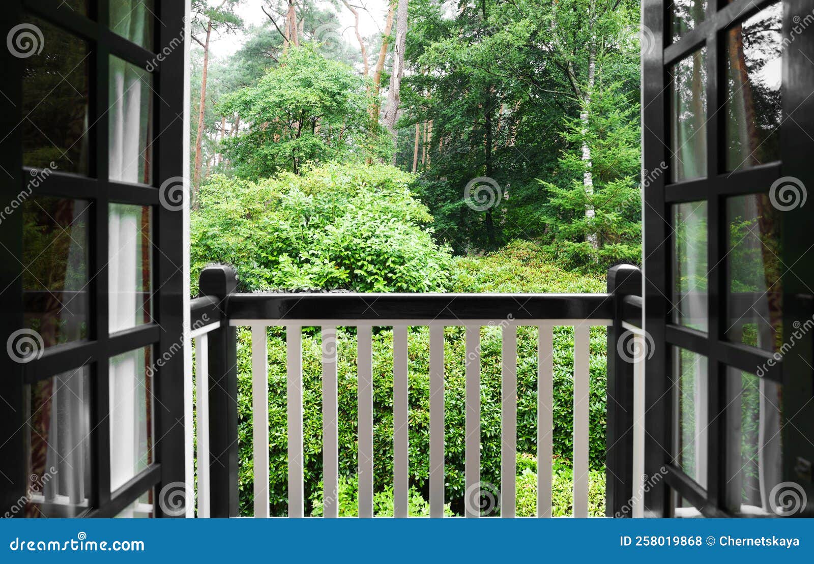 Beautiful Forest with Many Different Green Plants, View from Balcony ...