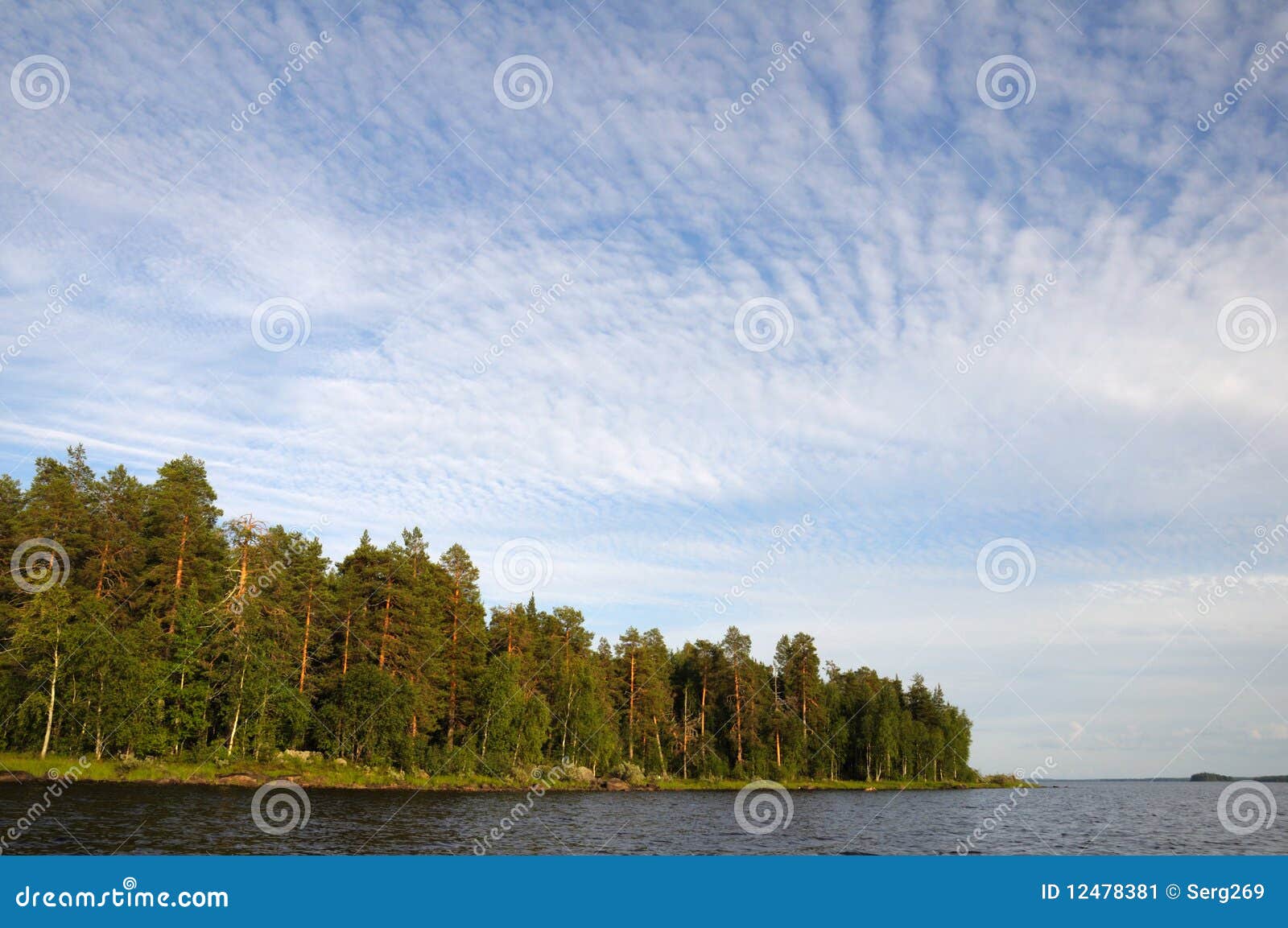Beautiful Forest and Northern Lake Stock Image - Image of nature, edge ...