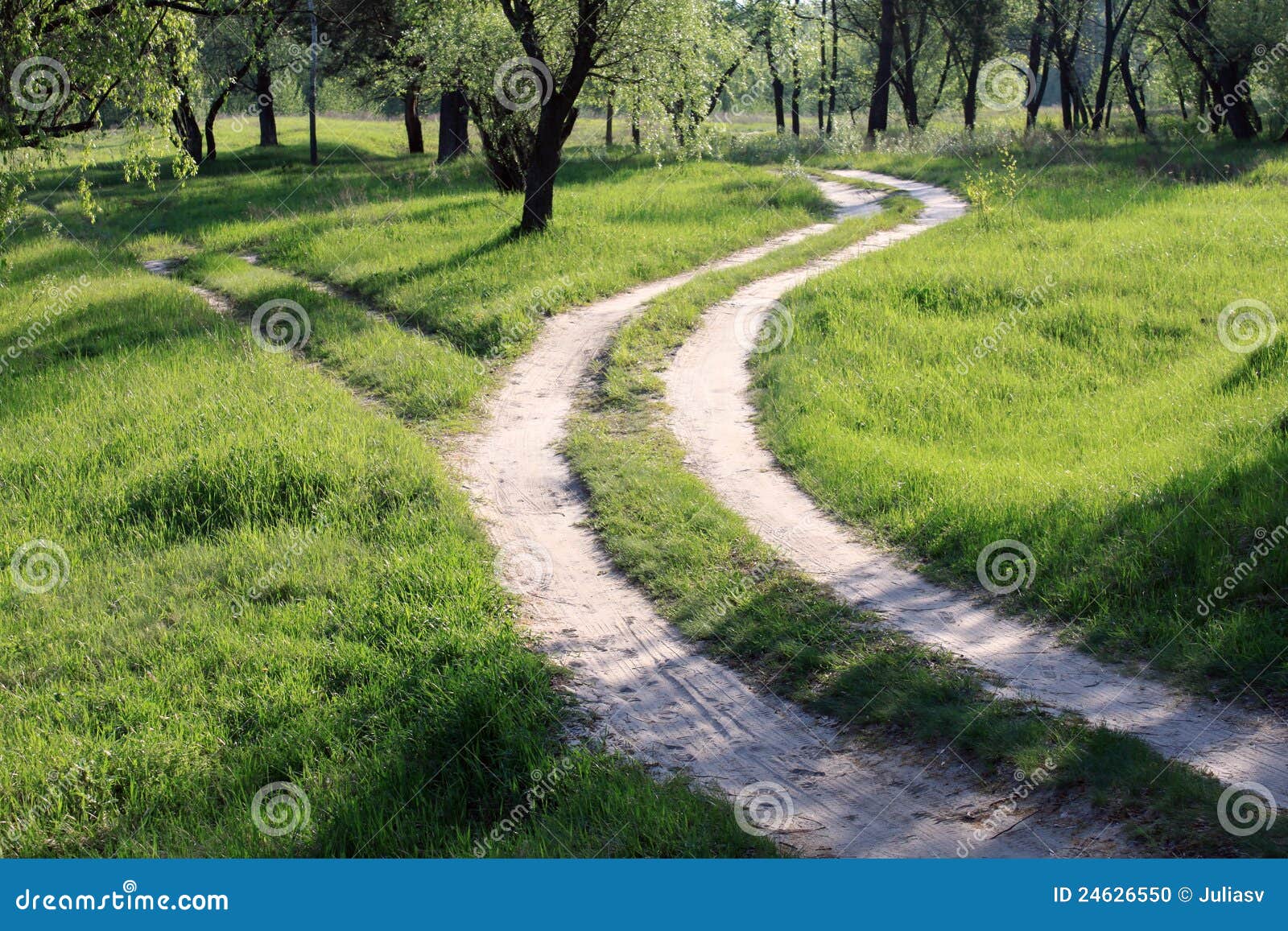 Beautiful forest road stock photo. Image of pathway, grass - 24626550