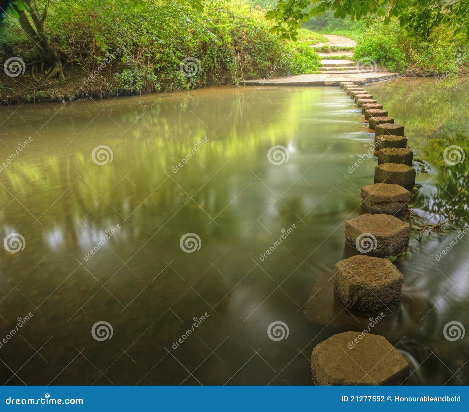 Beautiful Forest Scene of Enchanted Stream Stock Photo - Image of ...
