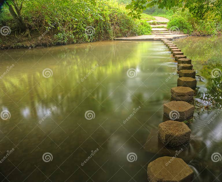 Beautiful Forest Scene of Enchanted Stream Stock Photo - Image of ...