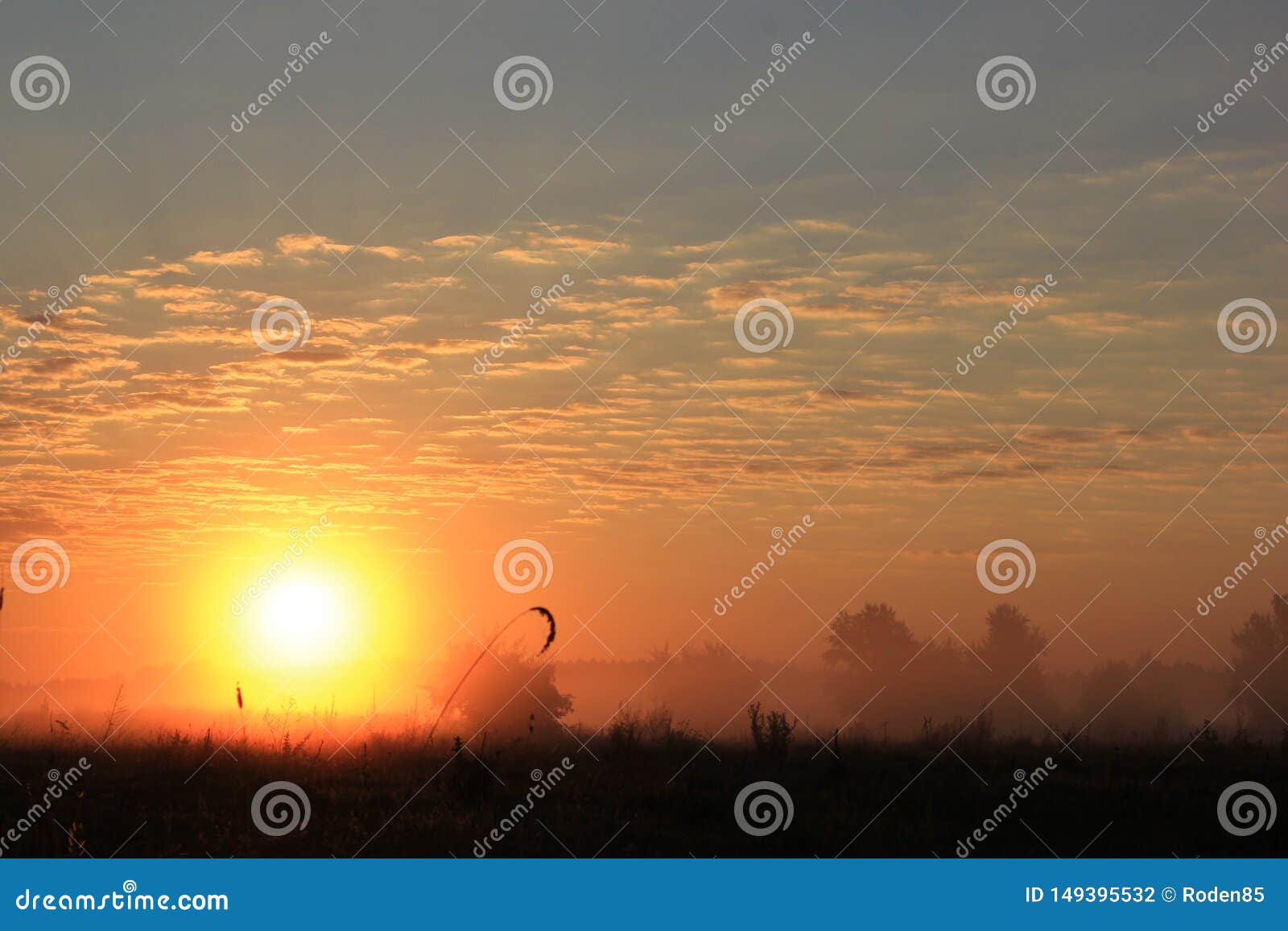 Beautiful Forest in Spring with Bright Sun Shining through Stock Photo ...