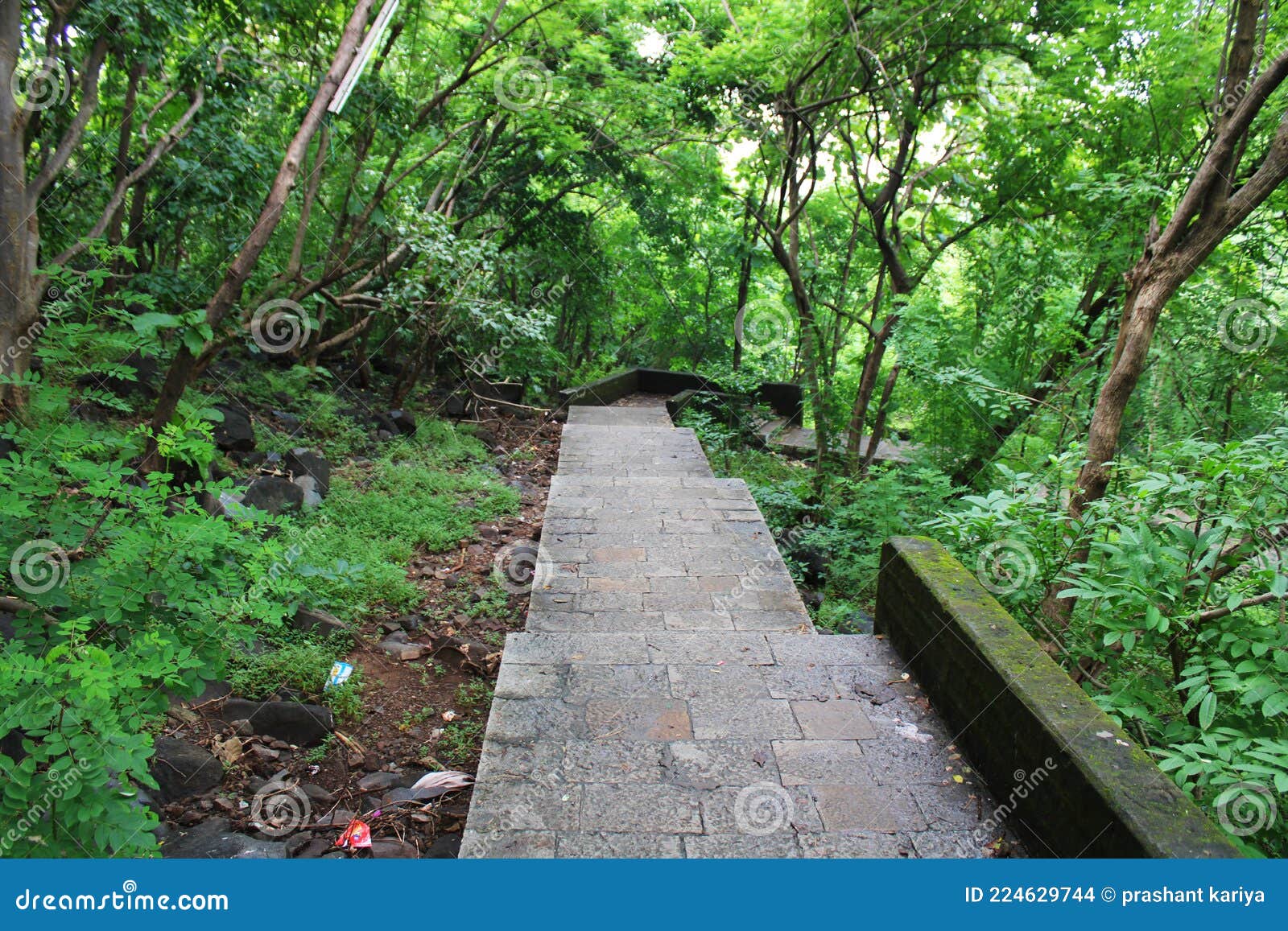 Beautiful Forest Straight at Junagadh Girnar Hills Stock Photo - Image ...