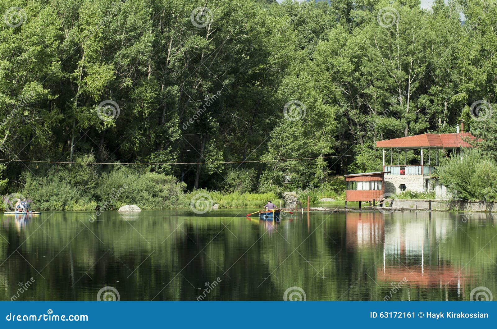Beautiful Forest View with Reflection Editorial Photo - Image of scene ...