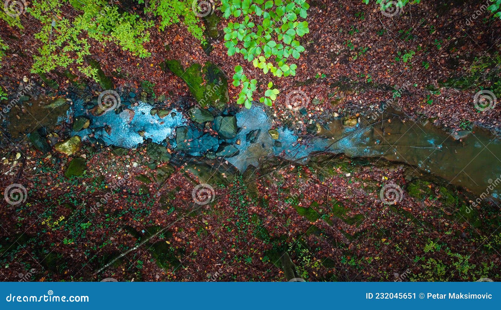 Beautiful Forest Water Stream Top Down Drone Shot Stock Image - Image ...