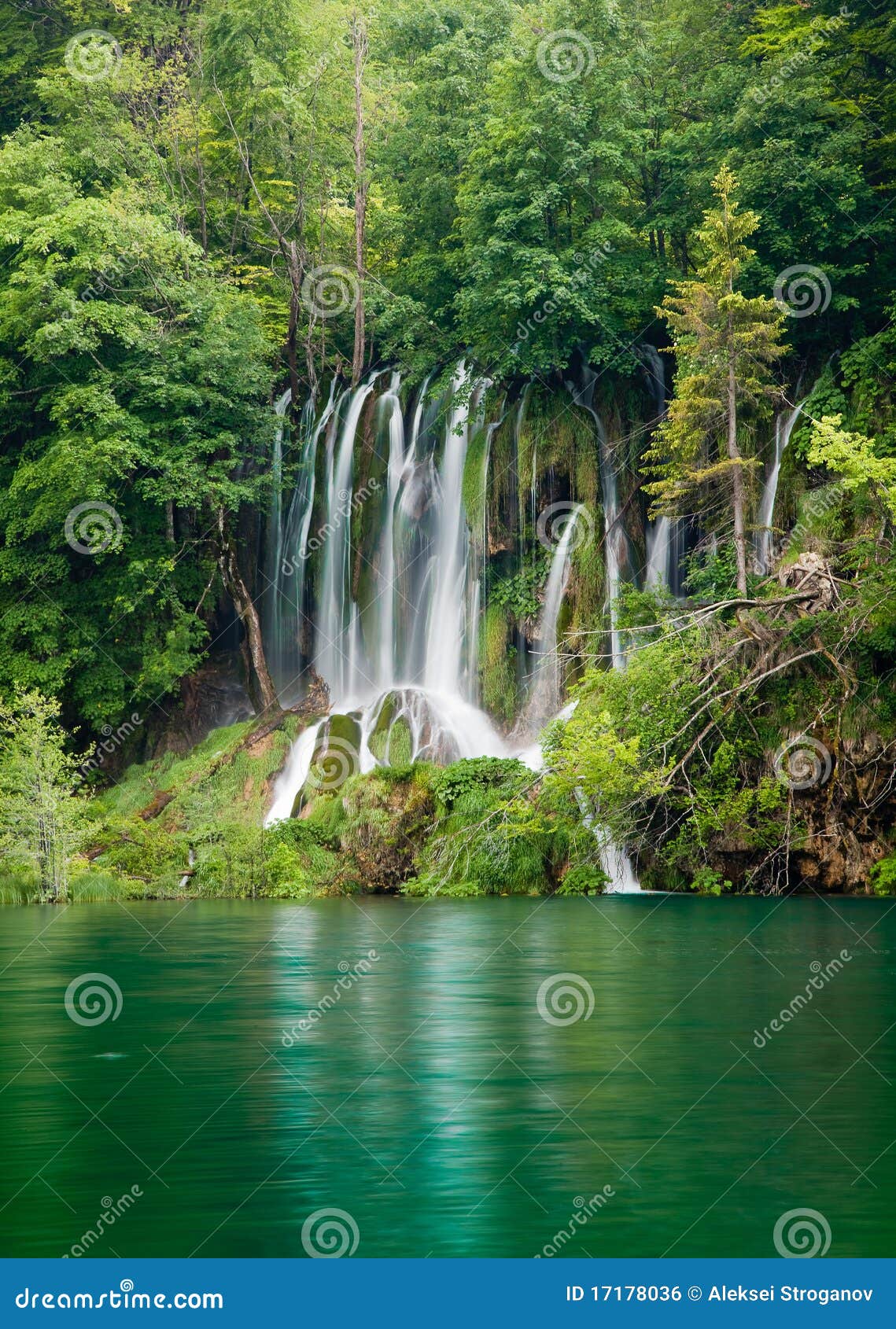 Beautiful Forest Waterfall stock photo. Image of summer - 17178036