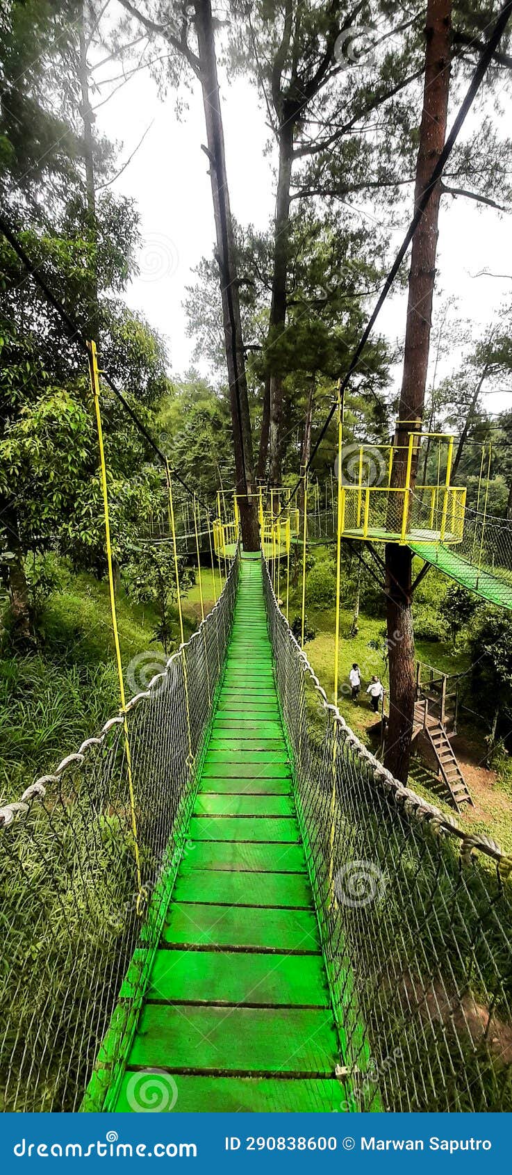 In Beautiful Forests and Outbound Games Stock Photo - Image of ...