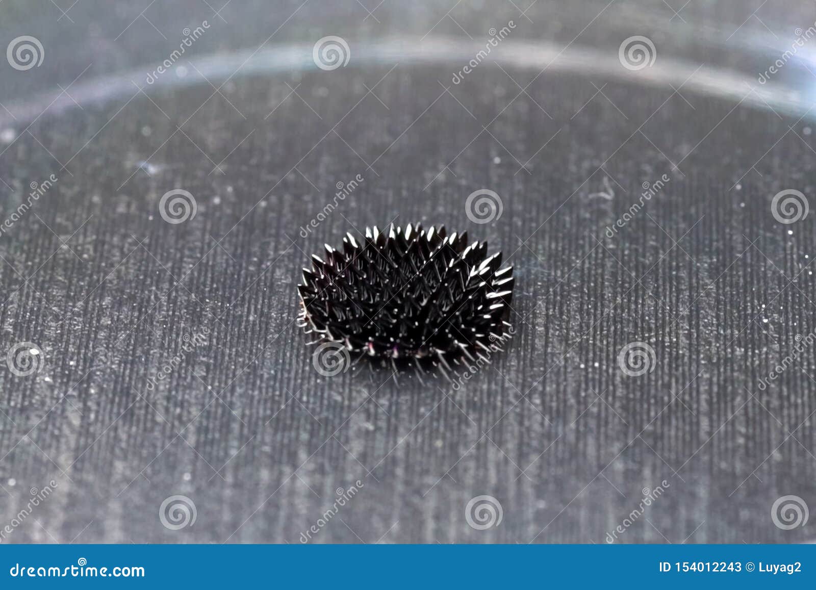Beautiful Forms of Ferromagnetic Fluid. Iron Dissolved in a Liqu Stock ...