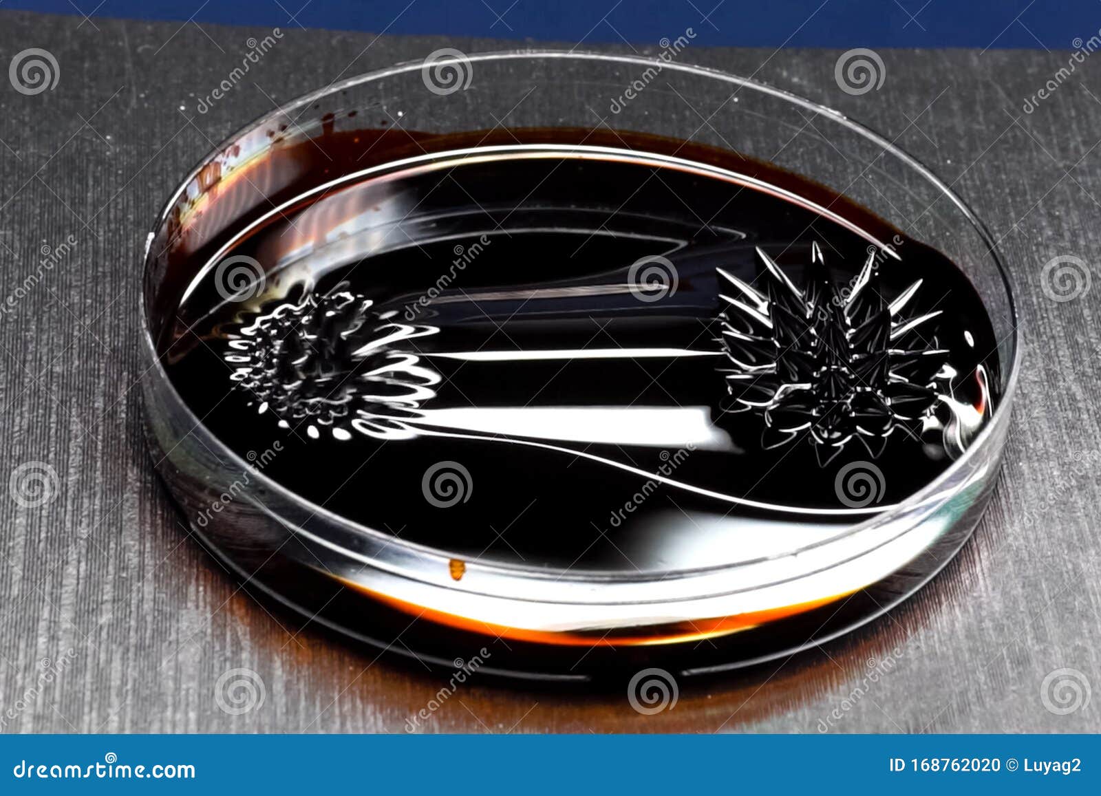 Beautiful Forms of Ferromagnetic Fluid. Iron Dissolved in a Liqu Stock ...